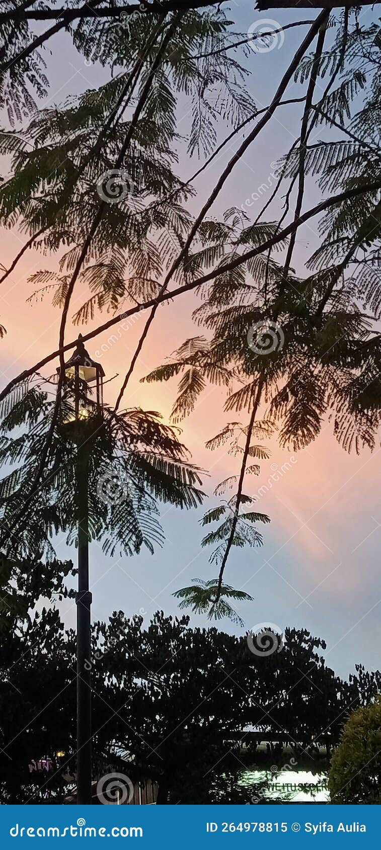 Dreamy blue orange stock image. Image of spring, orange - 264978815