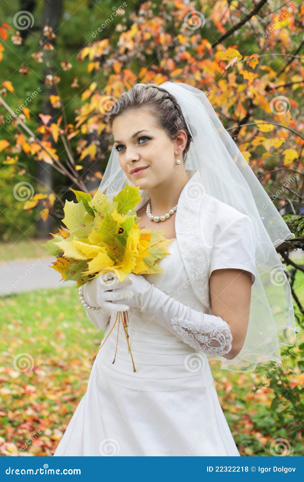 Dreamy bride stock photo. Image of branches, frock, celebrate - 22322218