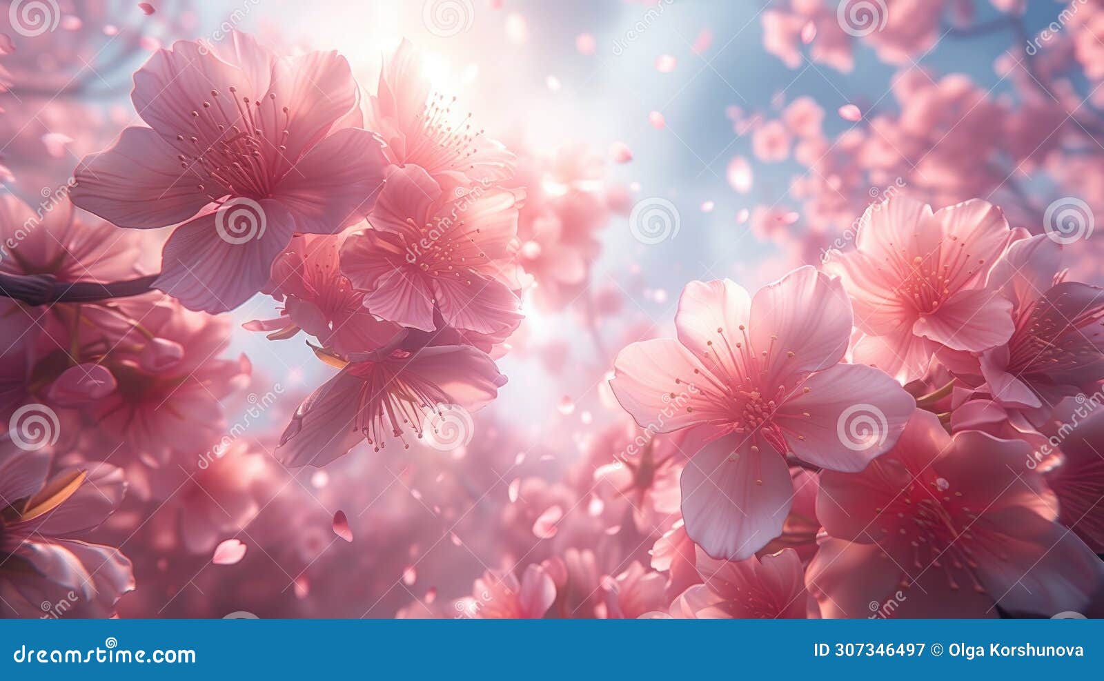 Dreamy Cherry Blossoms Adrift in Ethereal Spring Light Stock Image ...