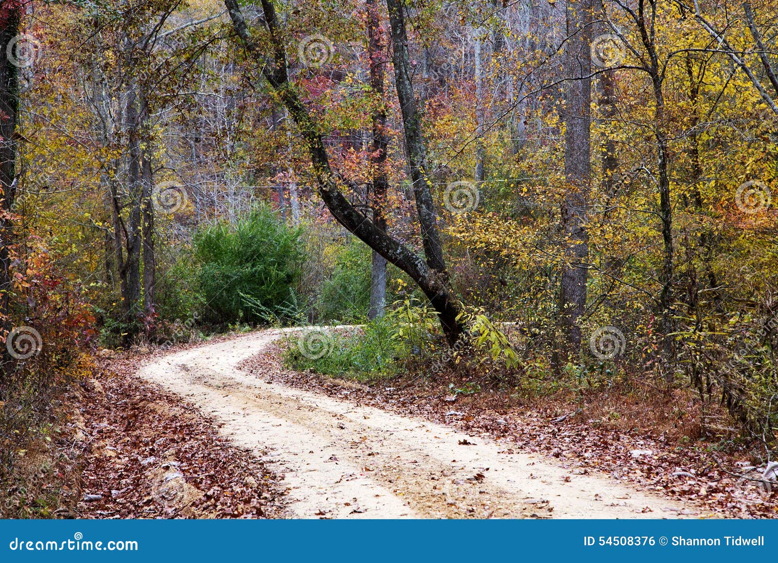 Dreamy dirt road stock photo. Image of natural, nature - 54508376