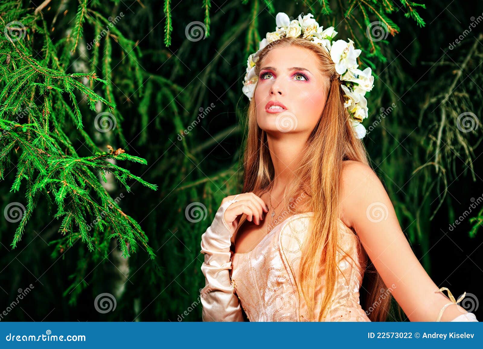 Dreamy fairy stock photo. Image of magic, nature, fantasy - 22573022