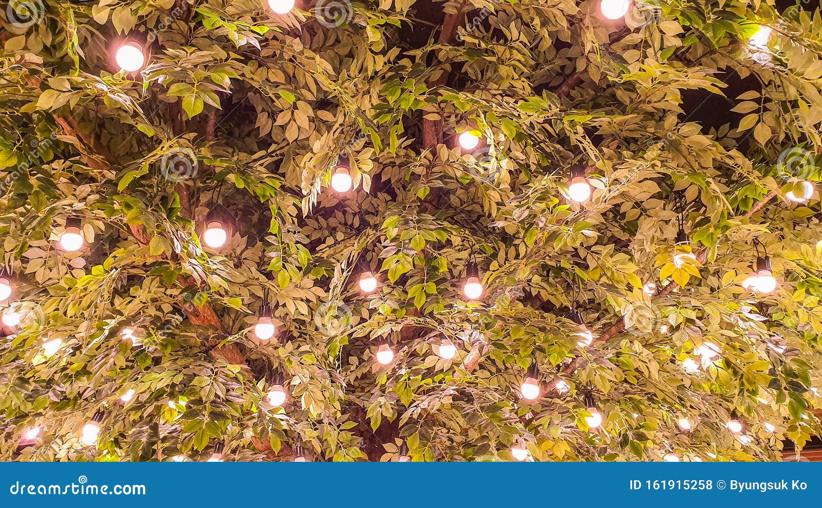 Dreamy Interior with Lighting Bulbs on the Tree Stock Photo - Image of ...