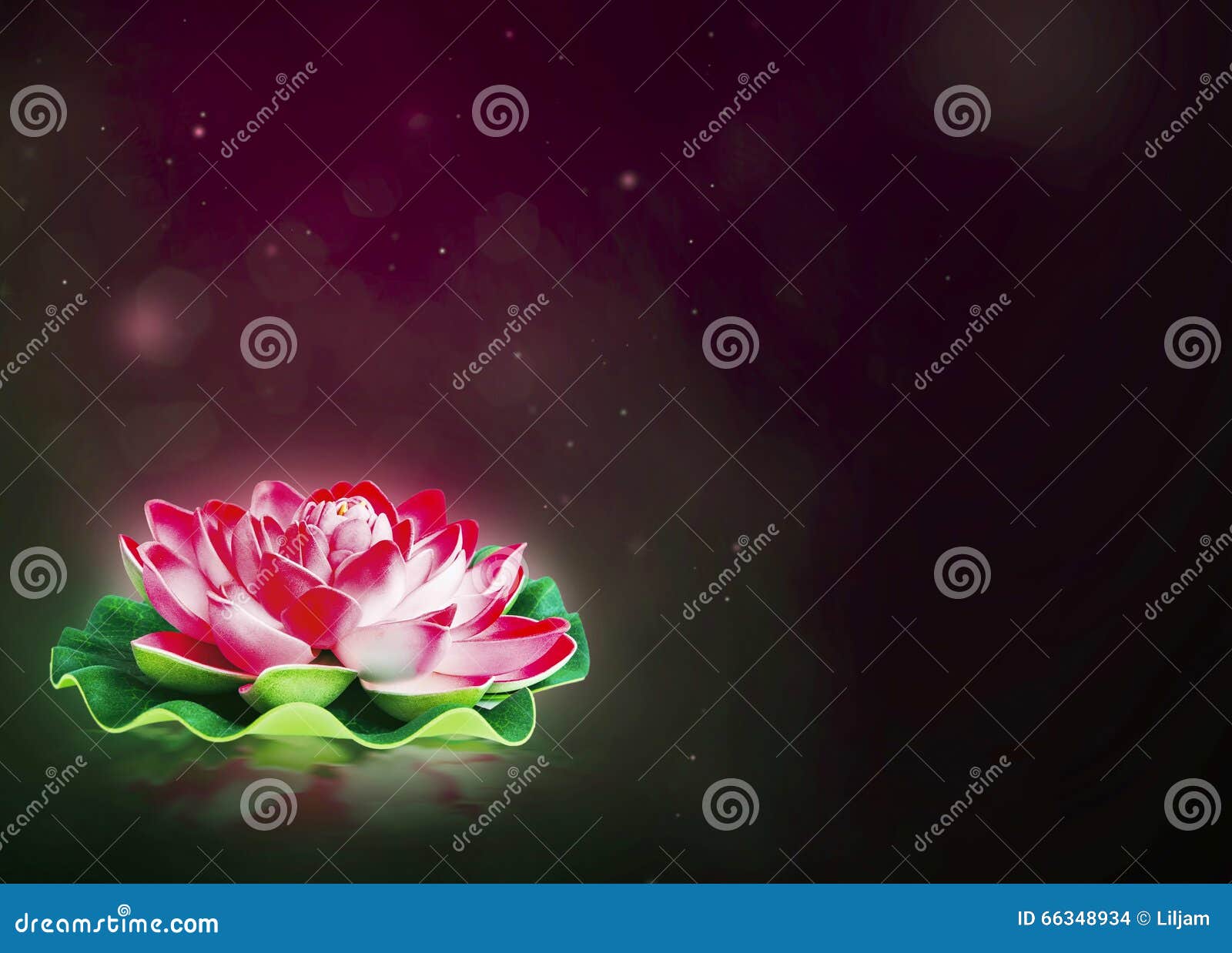 Dreamy lotus flower stock photo. Image of mystery, nature - 66348934