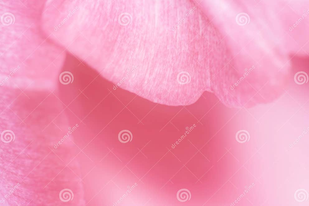 Dreamy pink background stock image. Image of passion, mother - 4059337