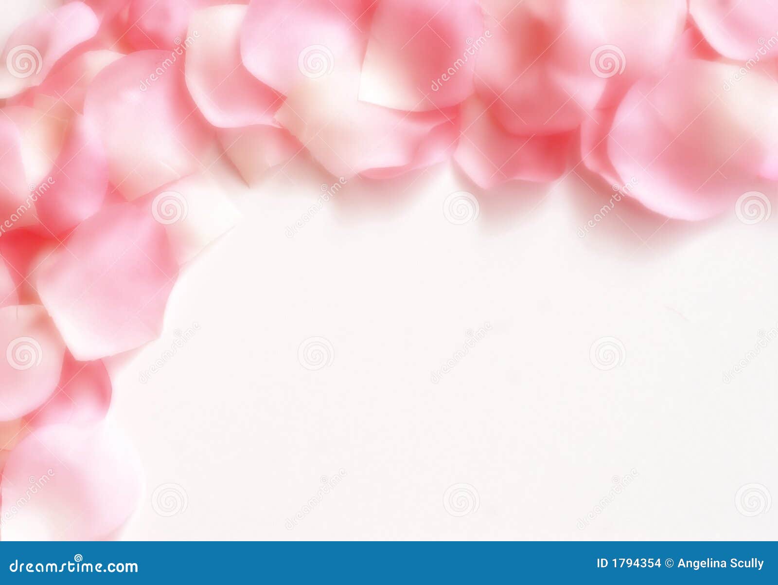Pink Rose Petal Border