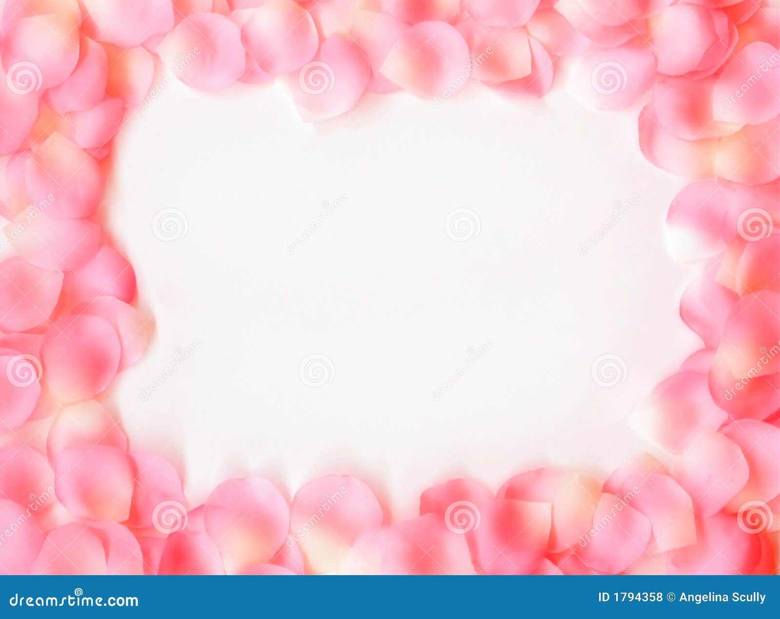 Pink Rose Petal Border