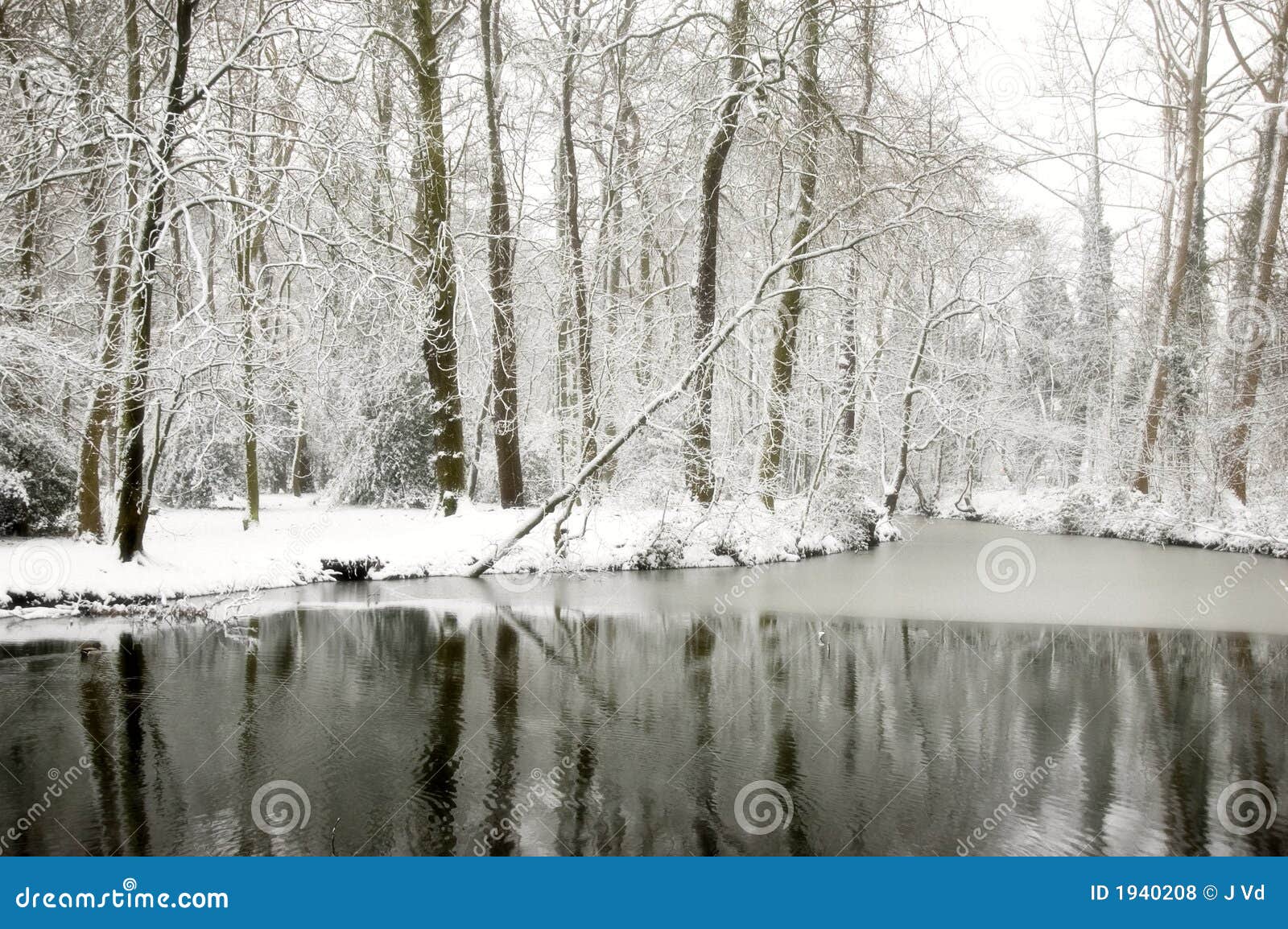Dreamy snowscape stock photo. Image of beautiful, outdoors - 1940208