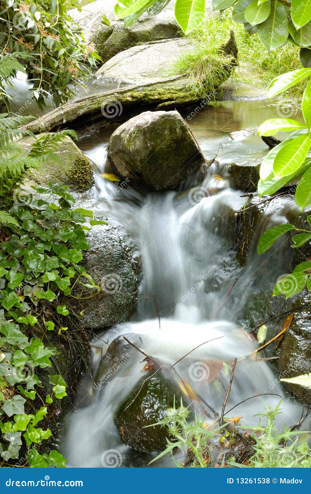 Dreamy stream stock photo. Image of summer, rock, forest - 13261538