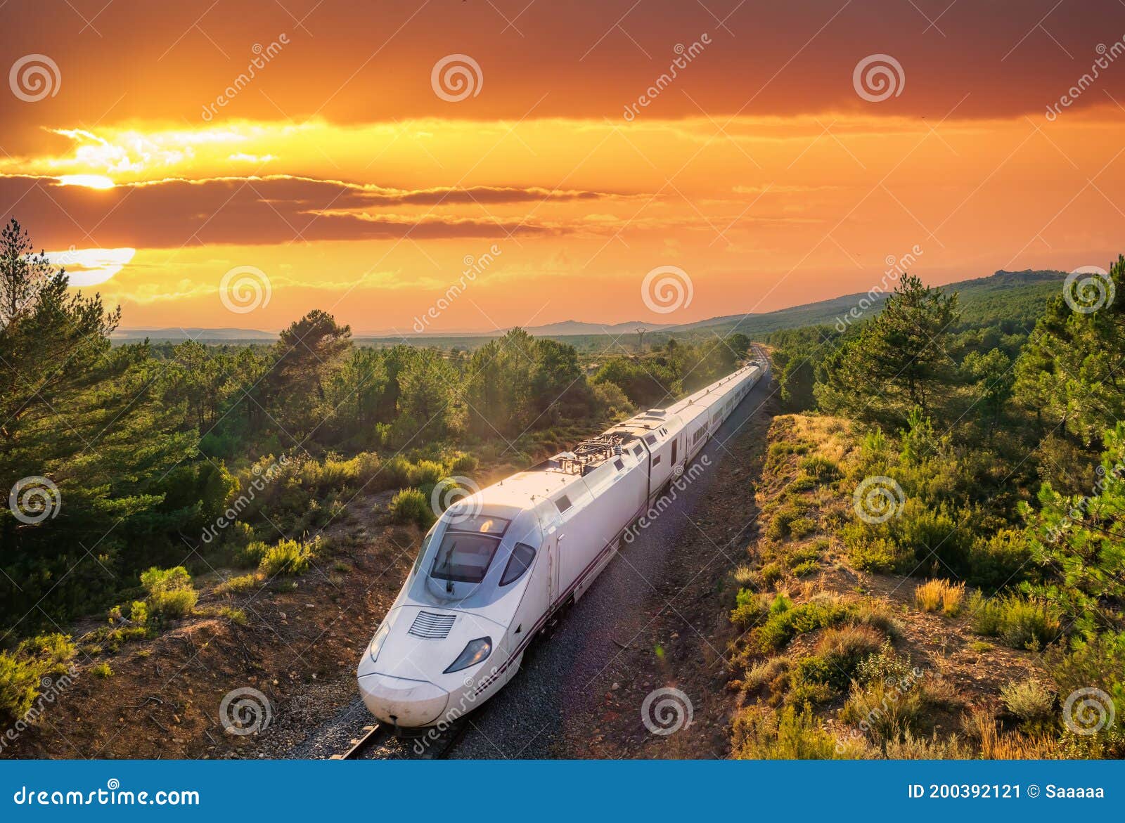 Dreamy Sunset with High Speed Train in the Forest Stock Image - Image ...