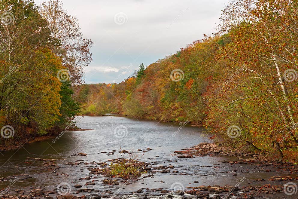 Dreary Fall Day stock photo. Image of east, flying, island - 53671150