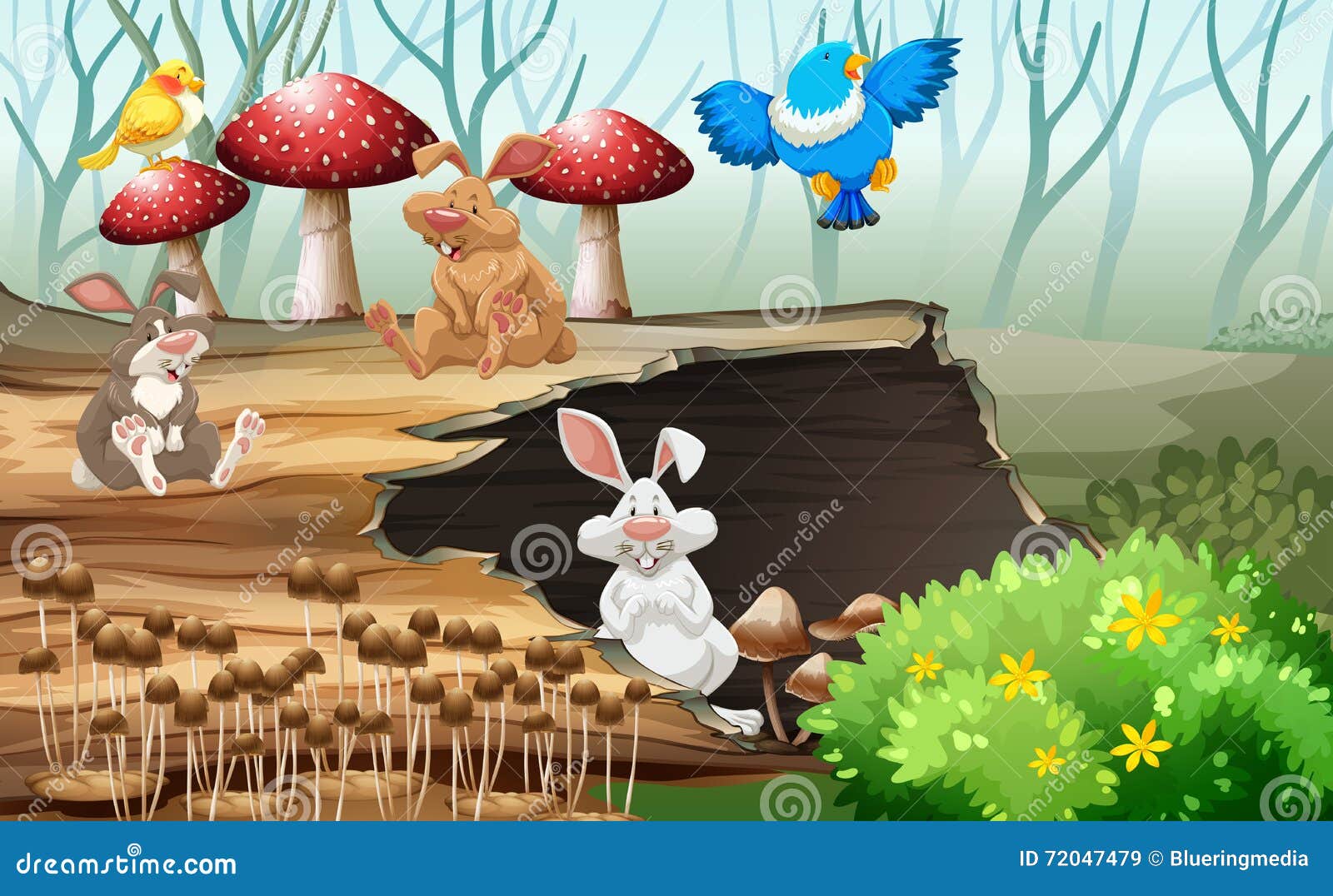 Drei Kaninchen Im Dschungel Vektor Abbildung - Illustration von ...