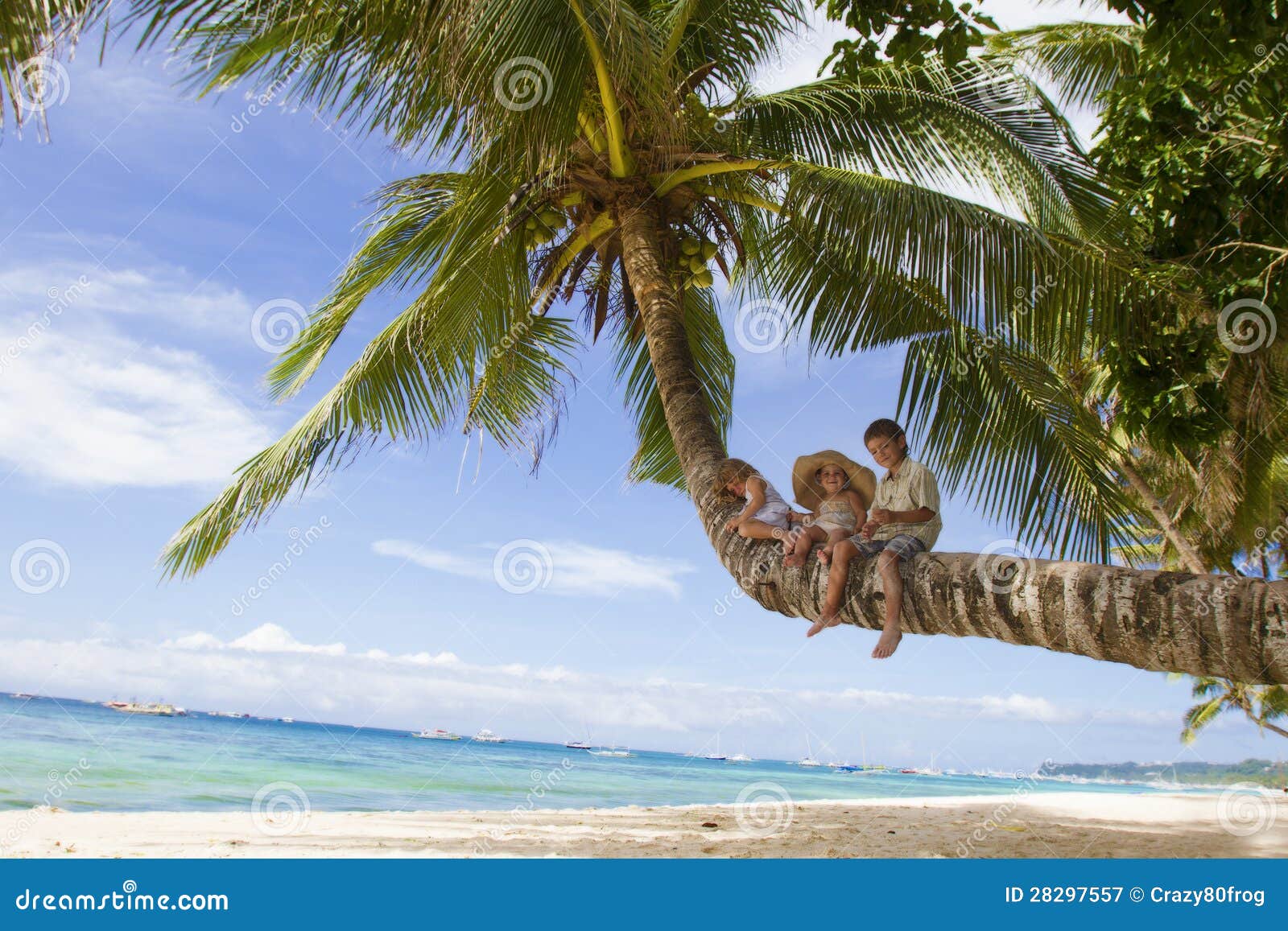 Drei Kinder auf Palme stockbild. Bild von glücklich, insel - 28297557