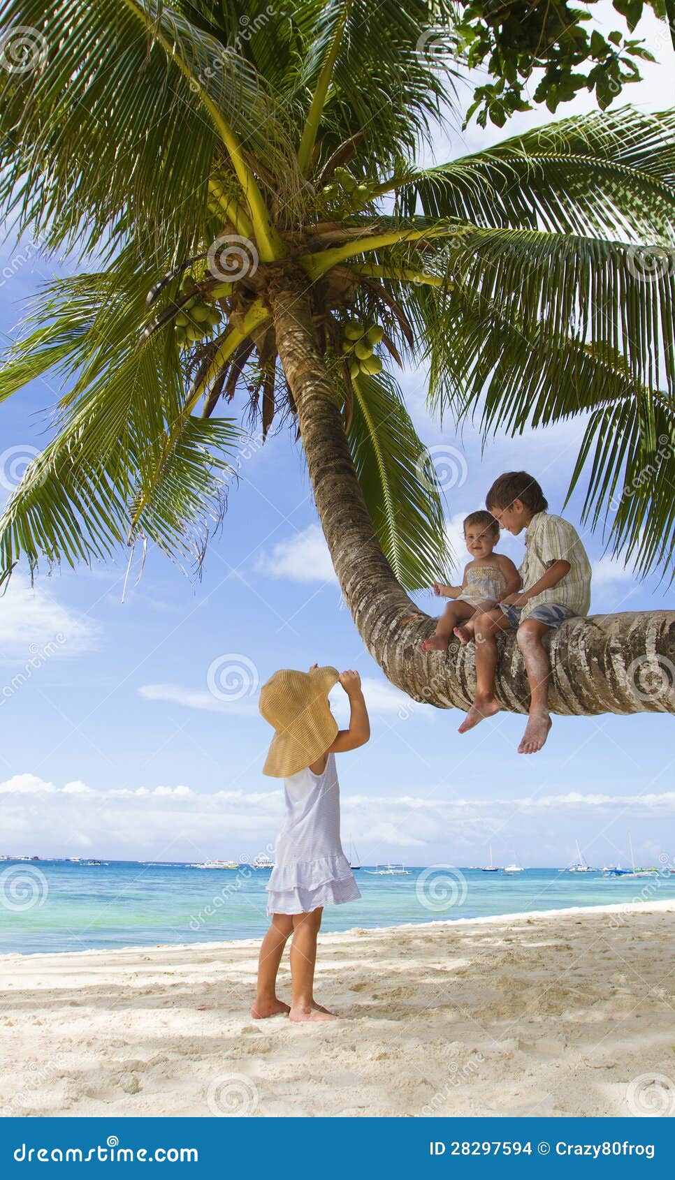Drei Kinder auf Palme stockfoto. Bild von exotisch, palme - 28297594