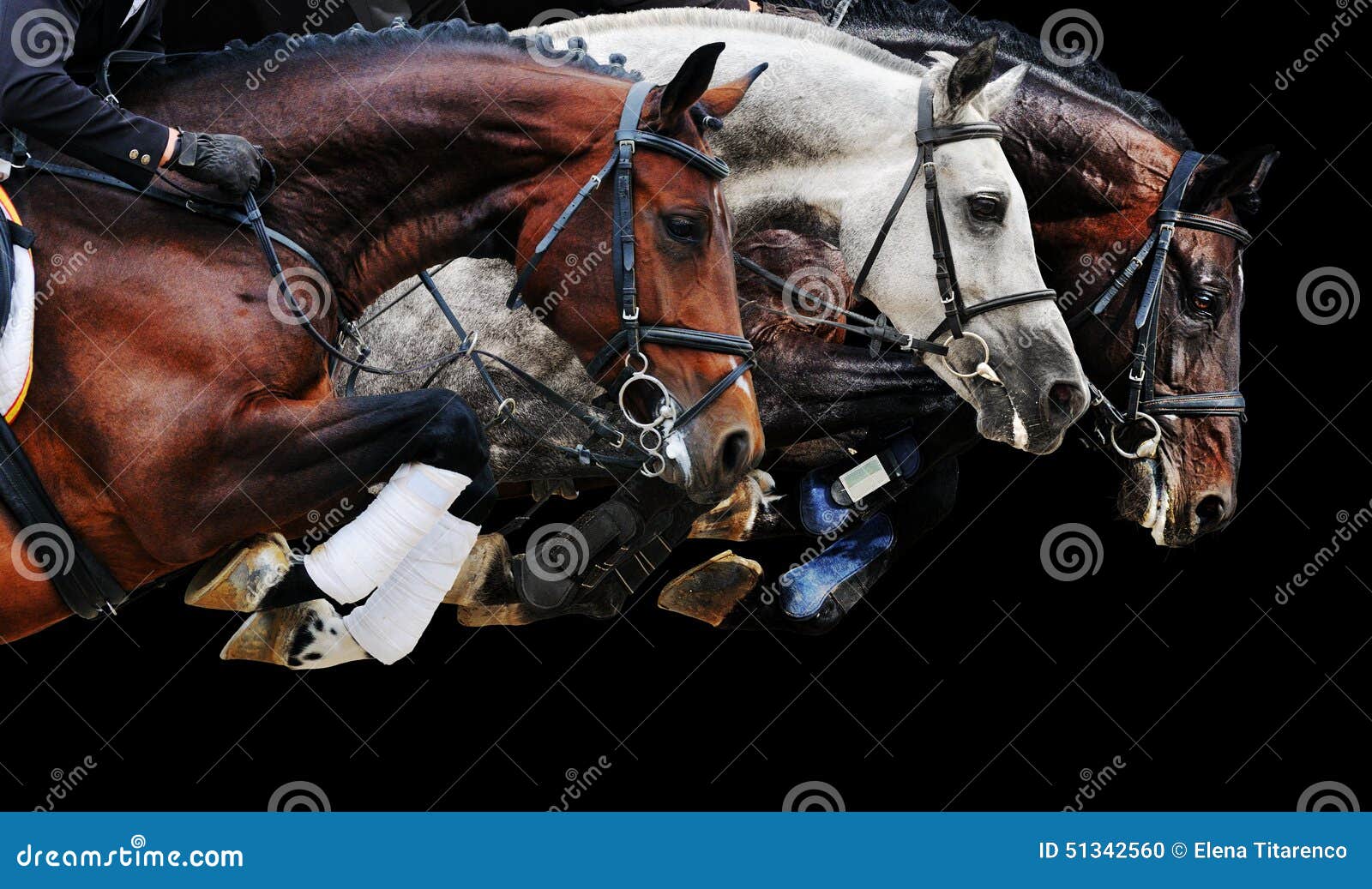 Drei Pferde in Springender Show, Auf Schwarzem Hintergrund Stockfoto ...