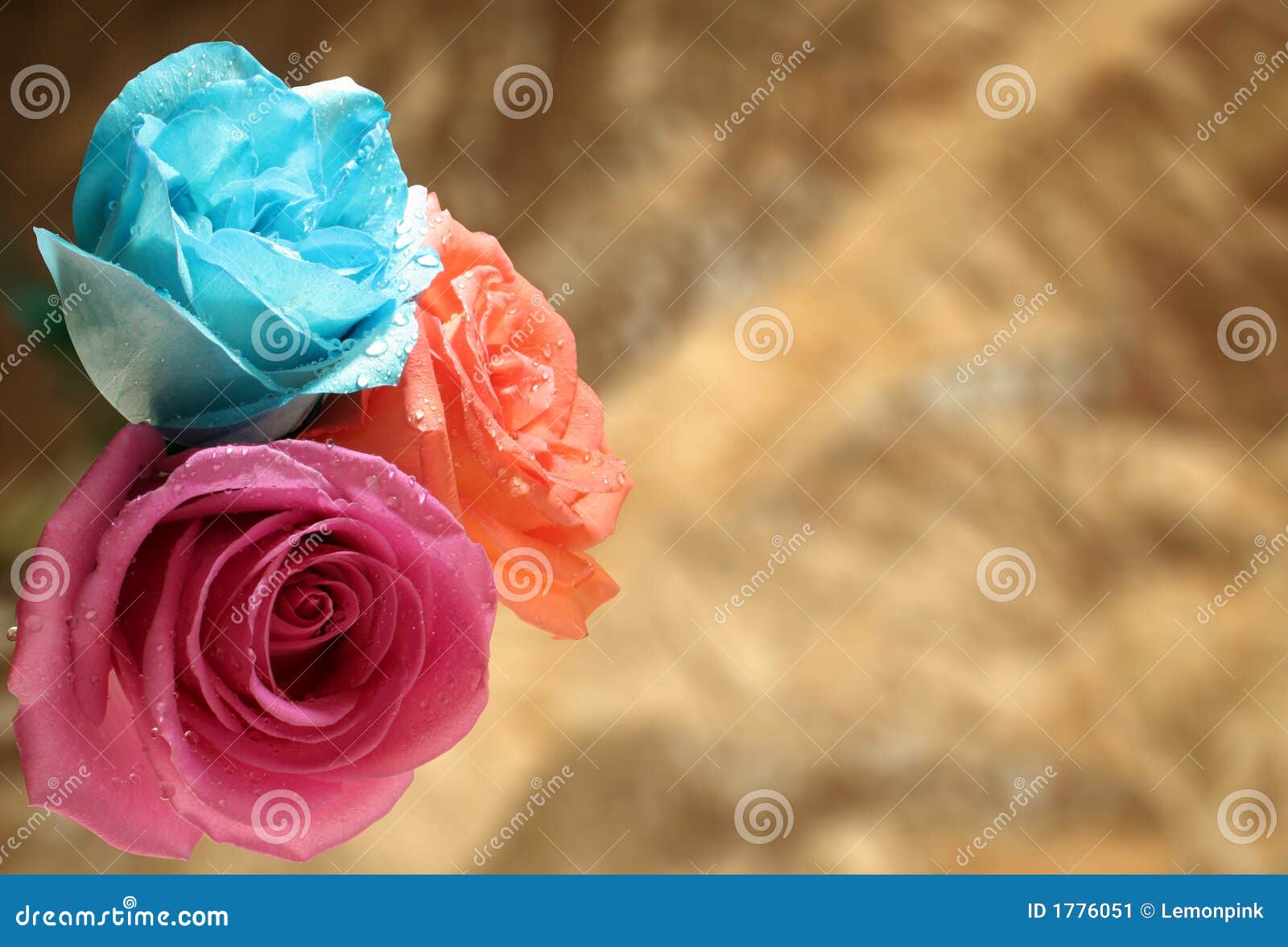 Drei Rosen Bild. Bild: 1776051