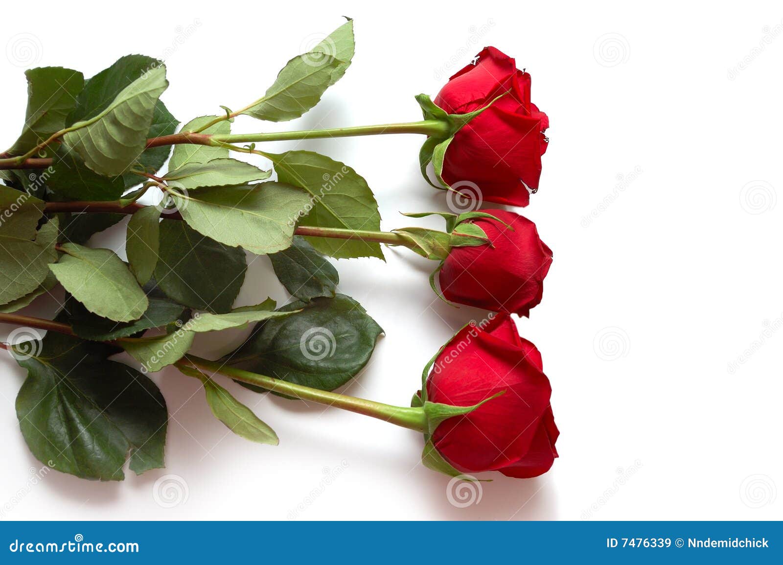 Drei rote Rosen stockbild. Bild von liebling, betrieb - 7476339