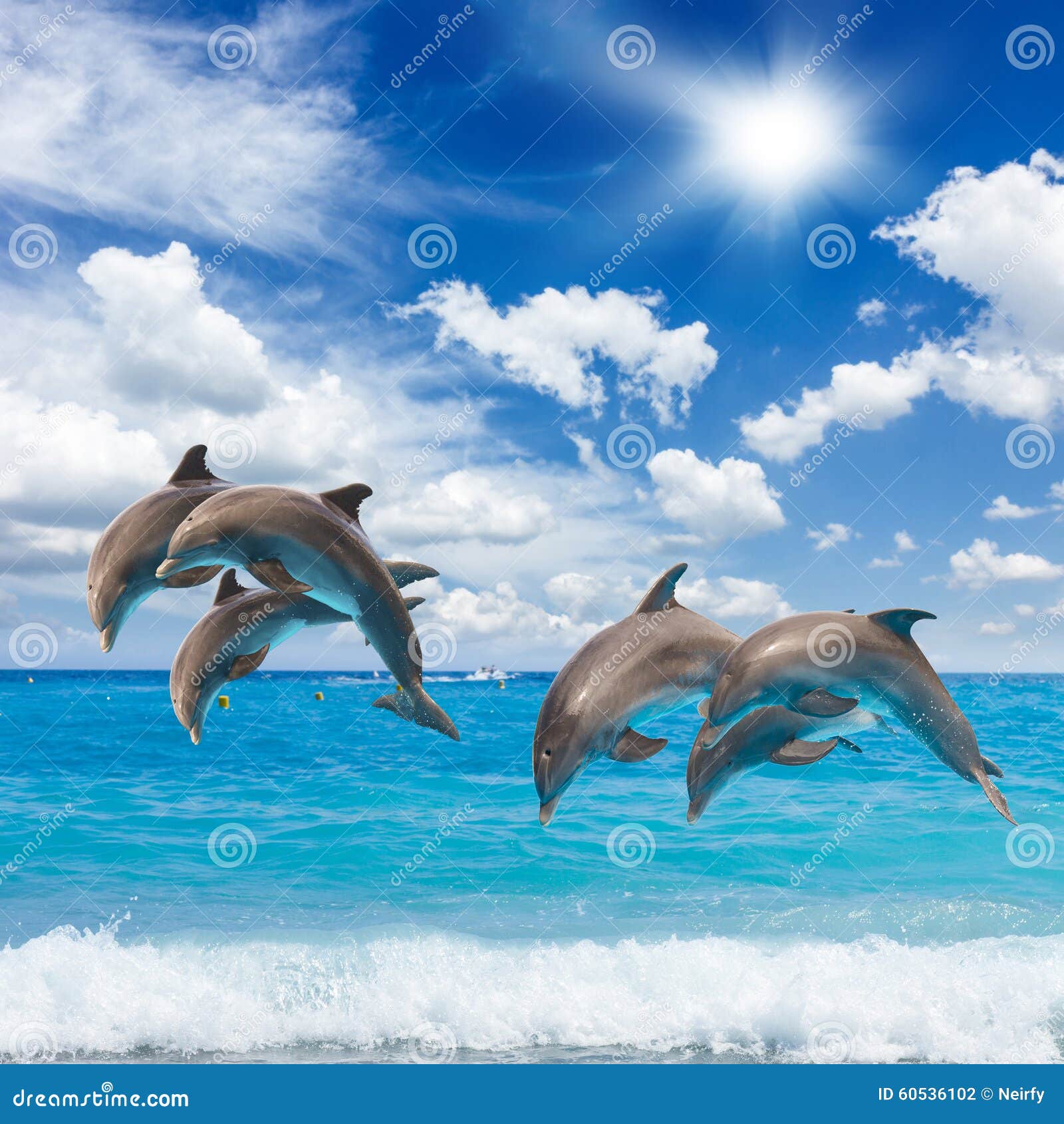 Drei springende Delphine stockfoto. Bild von schwimmen - 60536102
