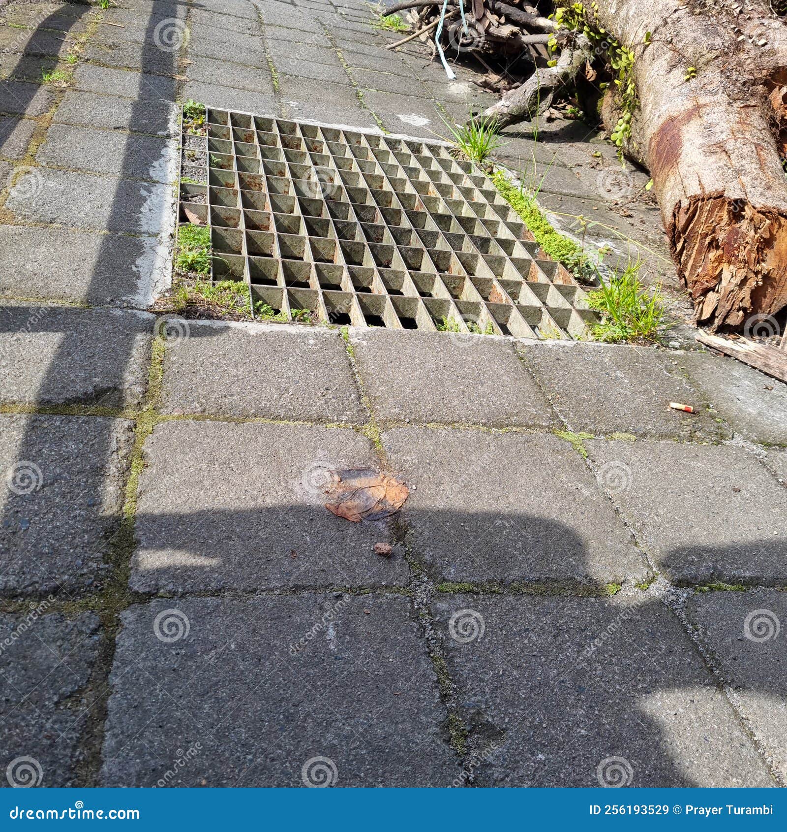 Drenar La Cubierta De Drenaje De La Parrilla En La Acera Imagen de ...