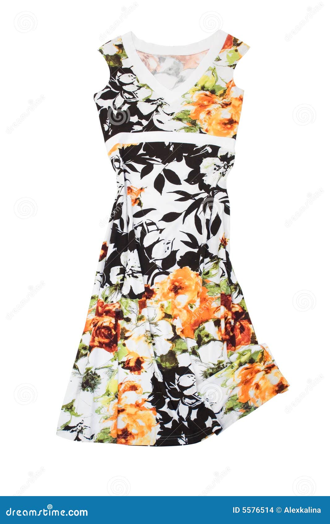 Dress stock photo. Image of female, dressed, wear, human - 5576514