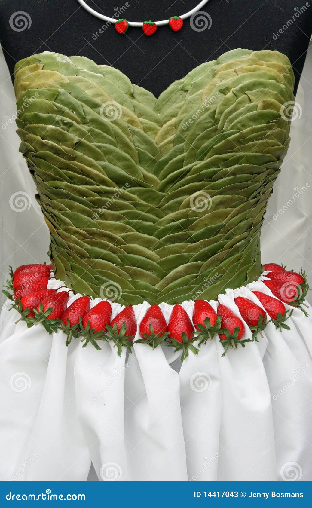 Dress top made from leaves stock image. Image of detail - 14417043
