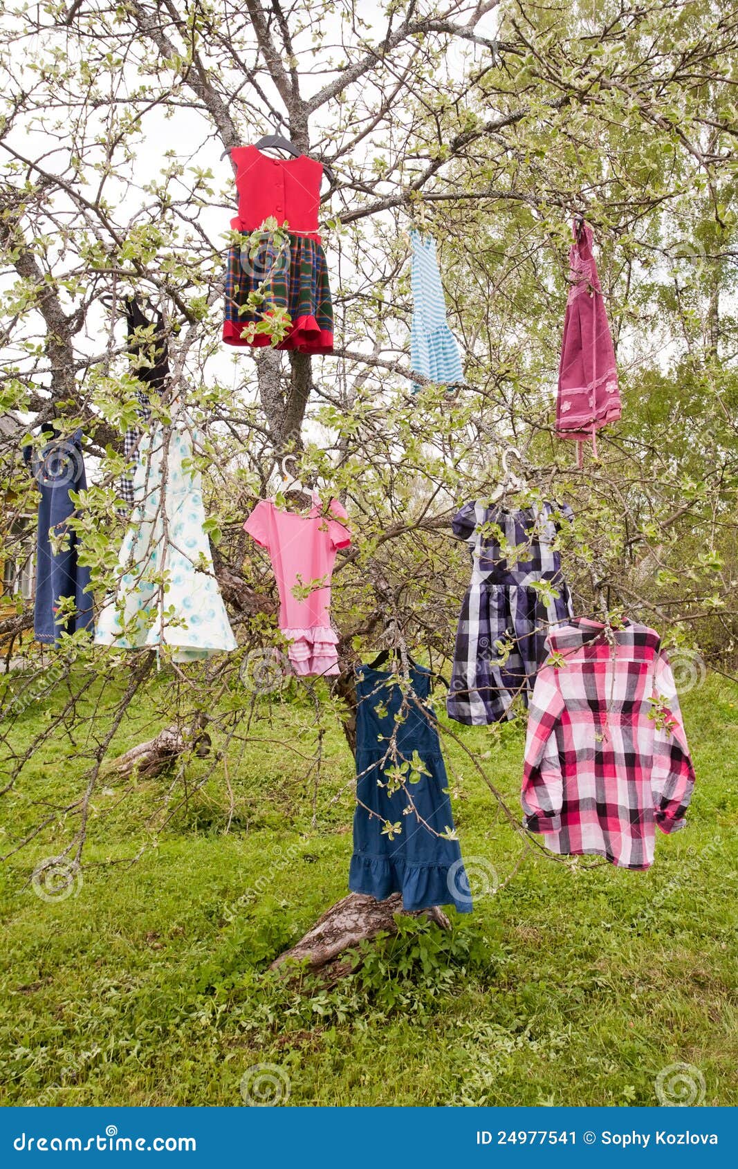 Dress tree stock image. Image of style, clothes, hang - 24977541