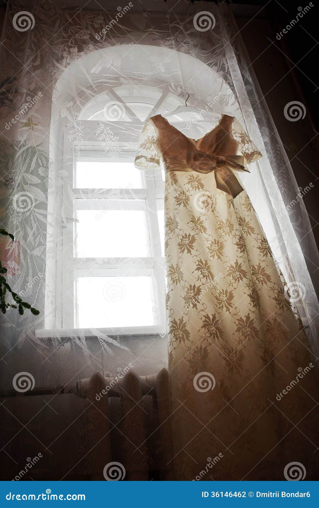 Dress by the window stock photo. Image of dress, fashion - 36146462