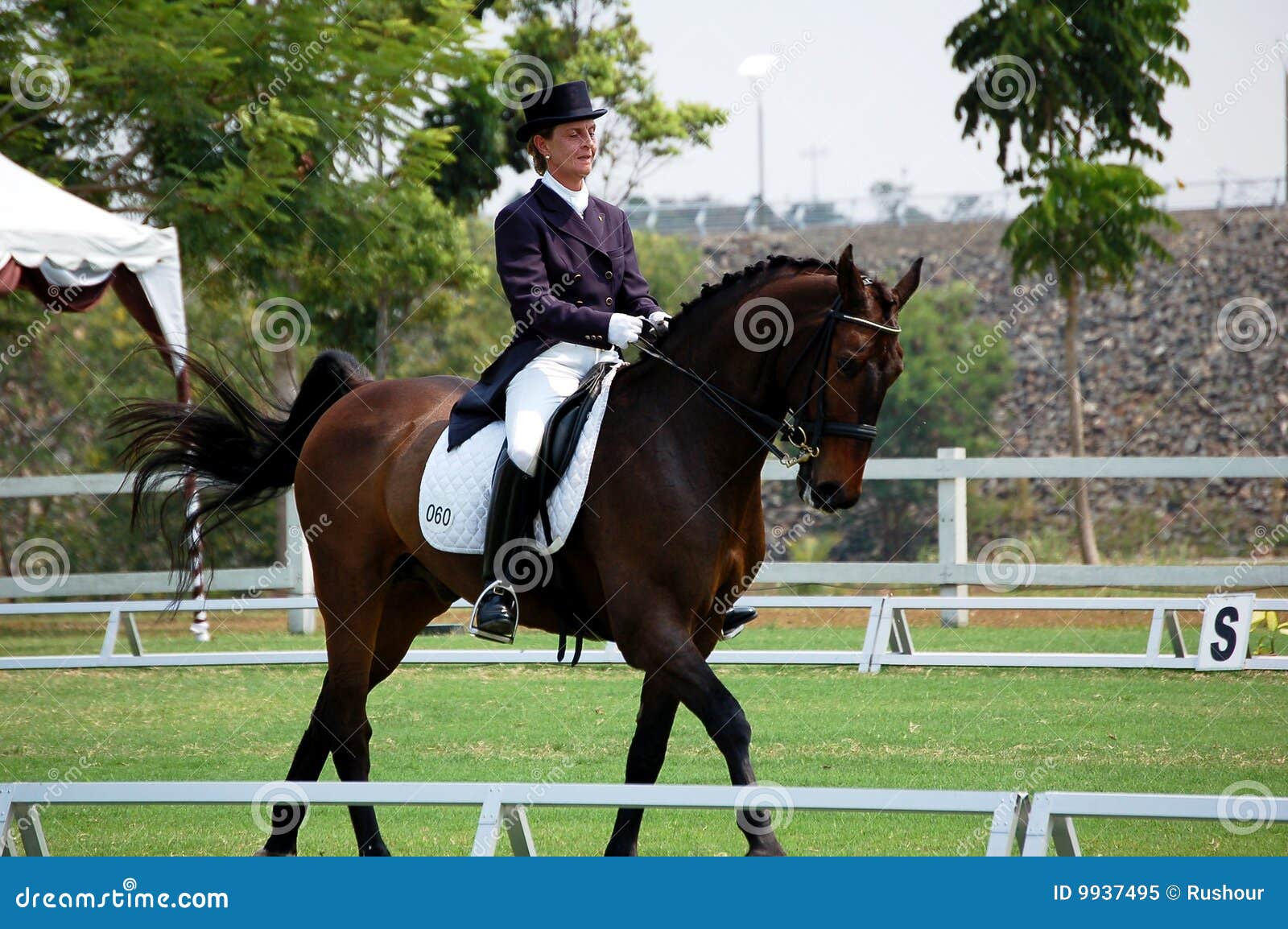 Dressage Competition editorial image. Image of animal - 9937495