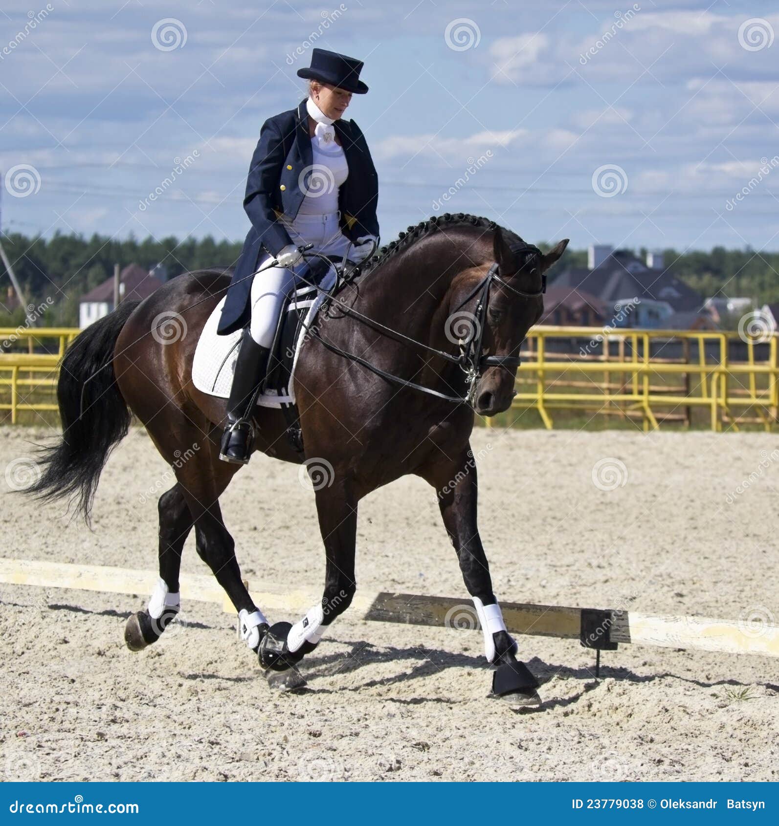Dressage horse and rider editorial stock photo. Image of horseback ...