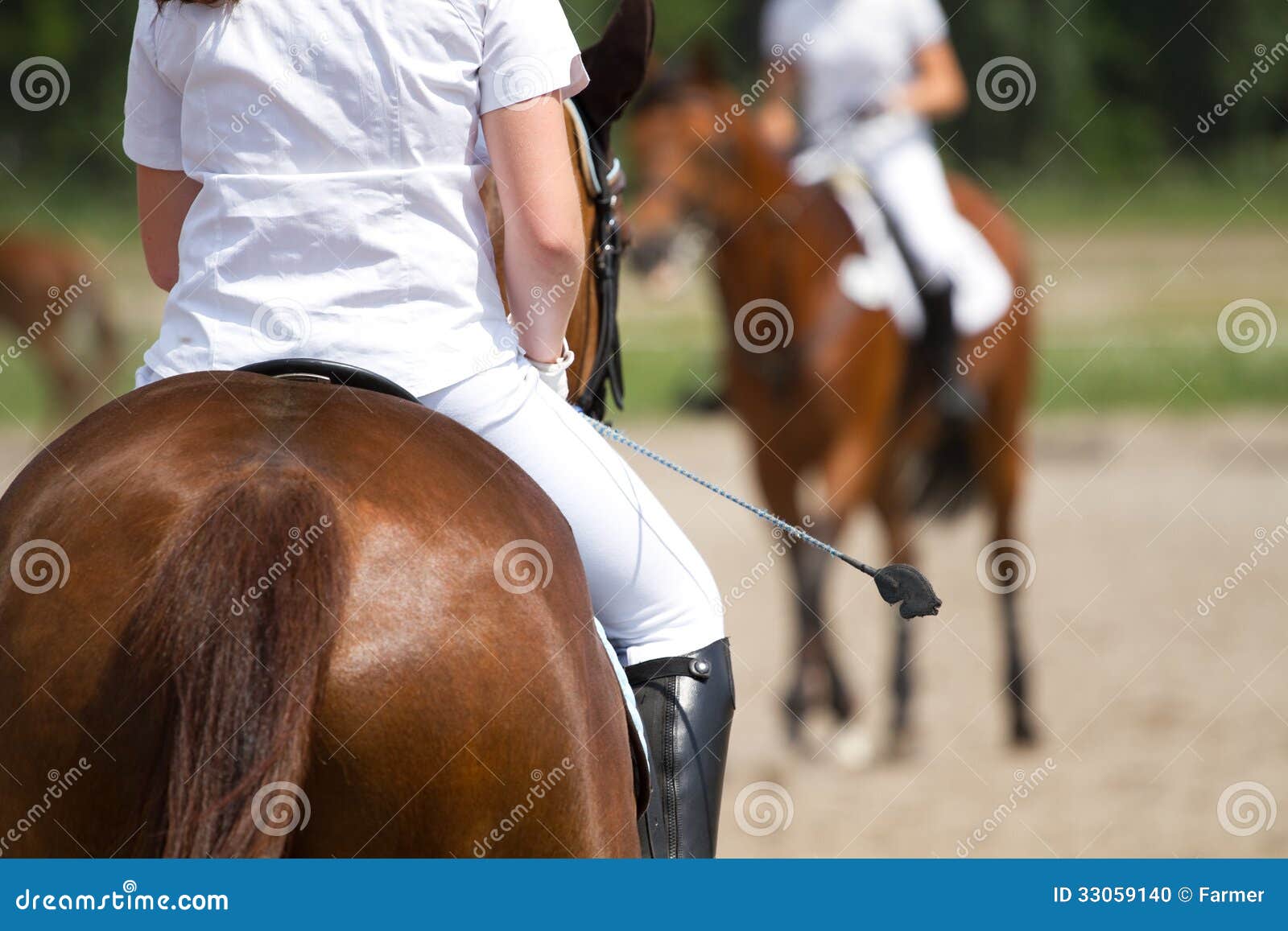 Dressage Horse With Rider On The Riding Arena During Training In Gallop ...