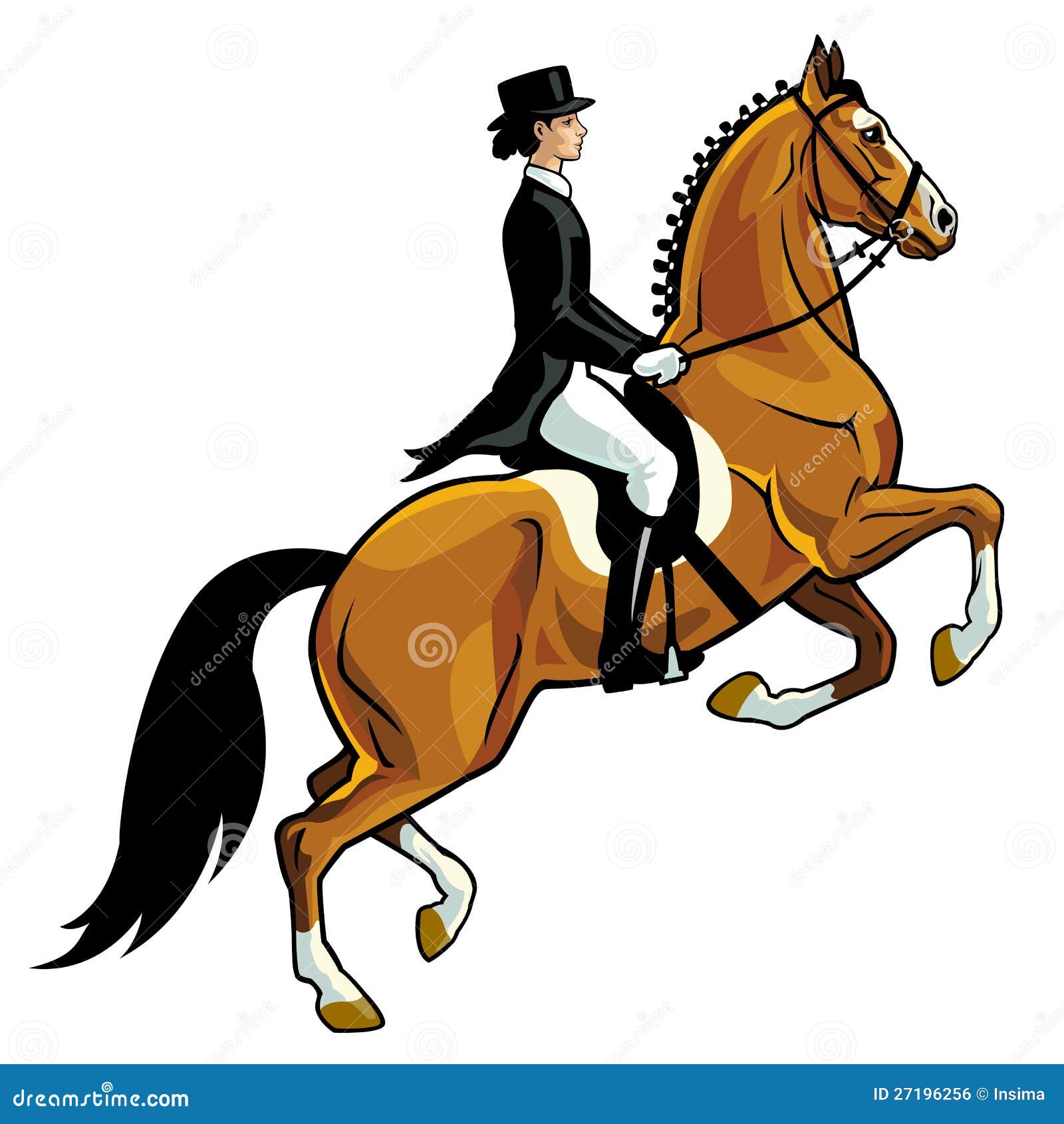 Dressage rider stock vector. Illustration of mare, single - 27196256 Dressage rider stock vector. Illustration of mare, single - 27196256
