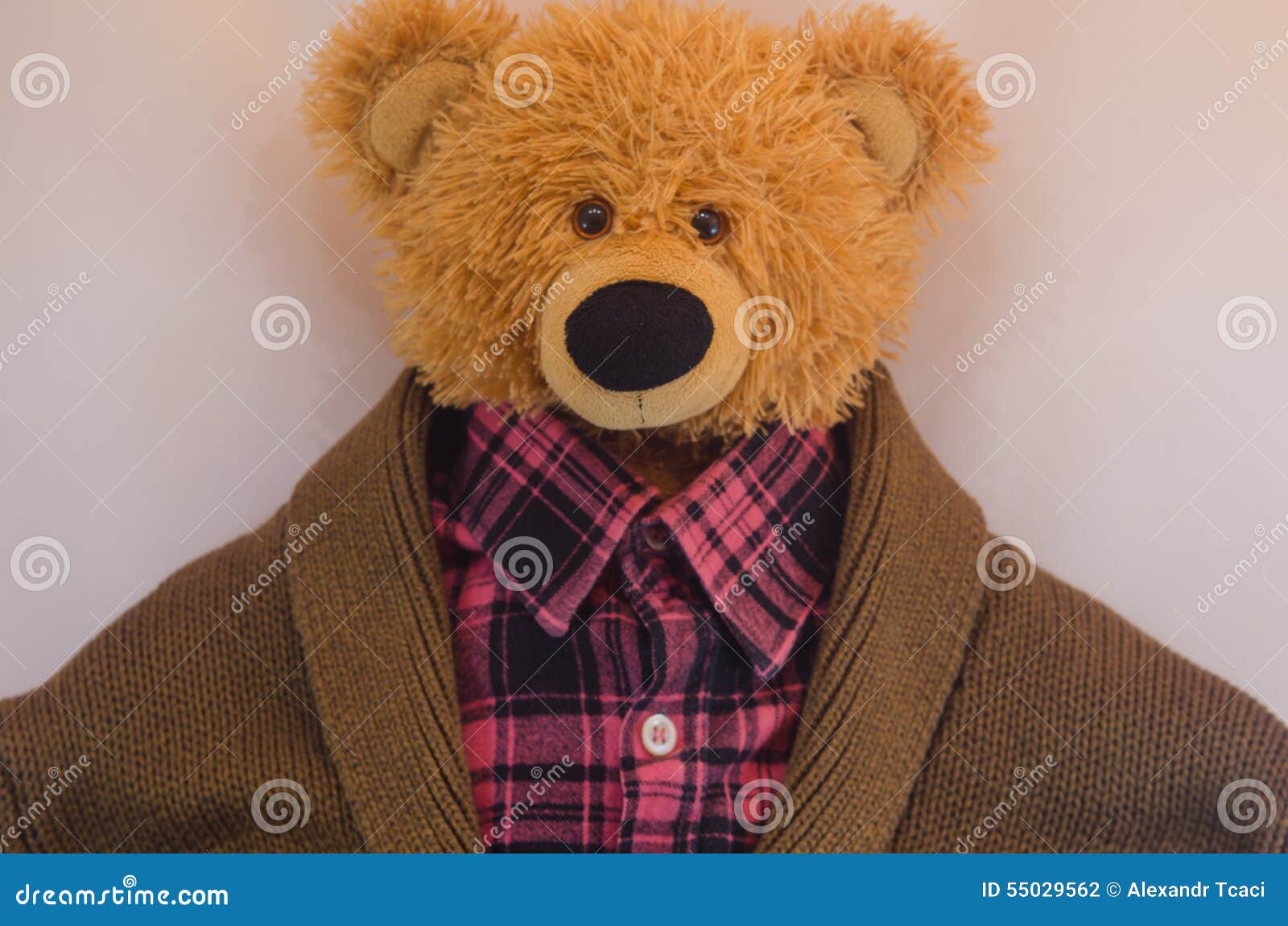 Dressed bear stock photo. Image of humor, gentleman, brown - 55029562
