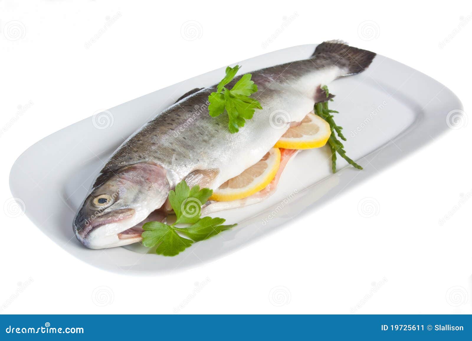 Dressed Rainbow Trout stock image. Image of nutrition - 19725611