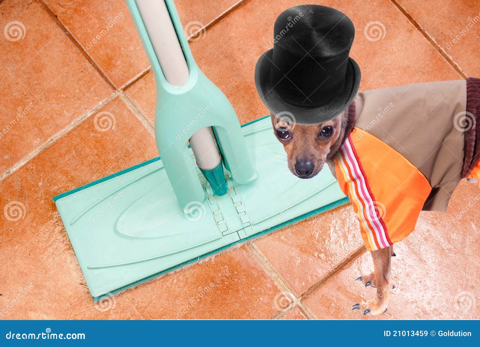 Dusting Mopping Tools Floor Stock Photos - Free & Royalty-Free Stock ... Dusting Mopping Tools Floor Stock Photos - Free & Royalty-Free Stock ...