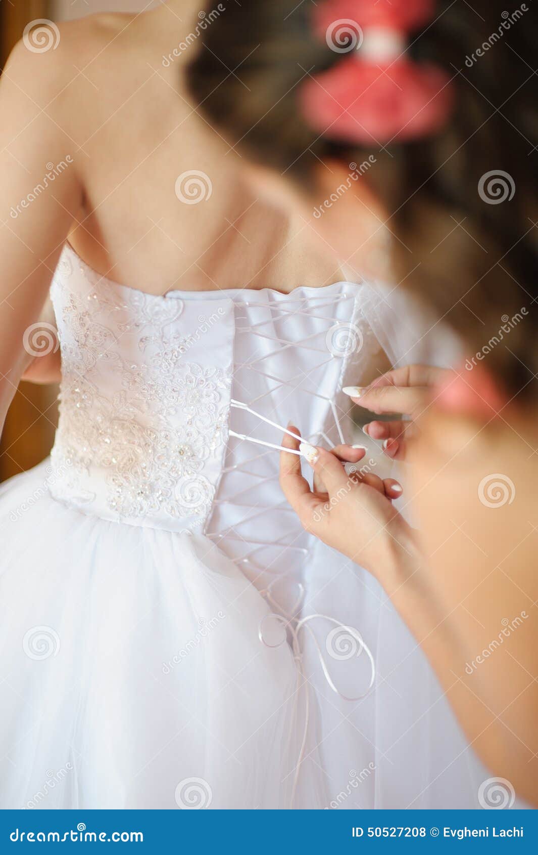 Dressing the bride stock photo. Image of white, back - 50527208