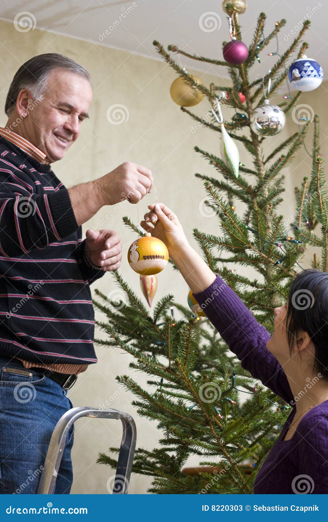 3,958 Tree Dressing Stock Photos - Free & Royalty-Free Stock Photos ...