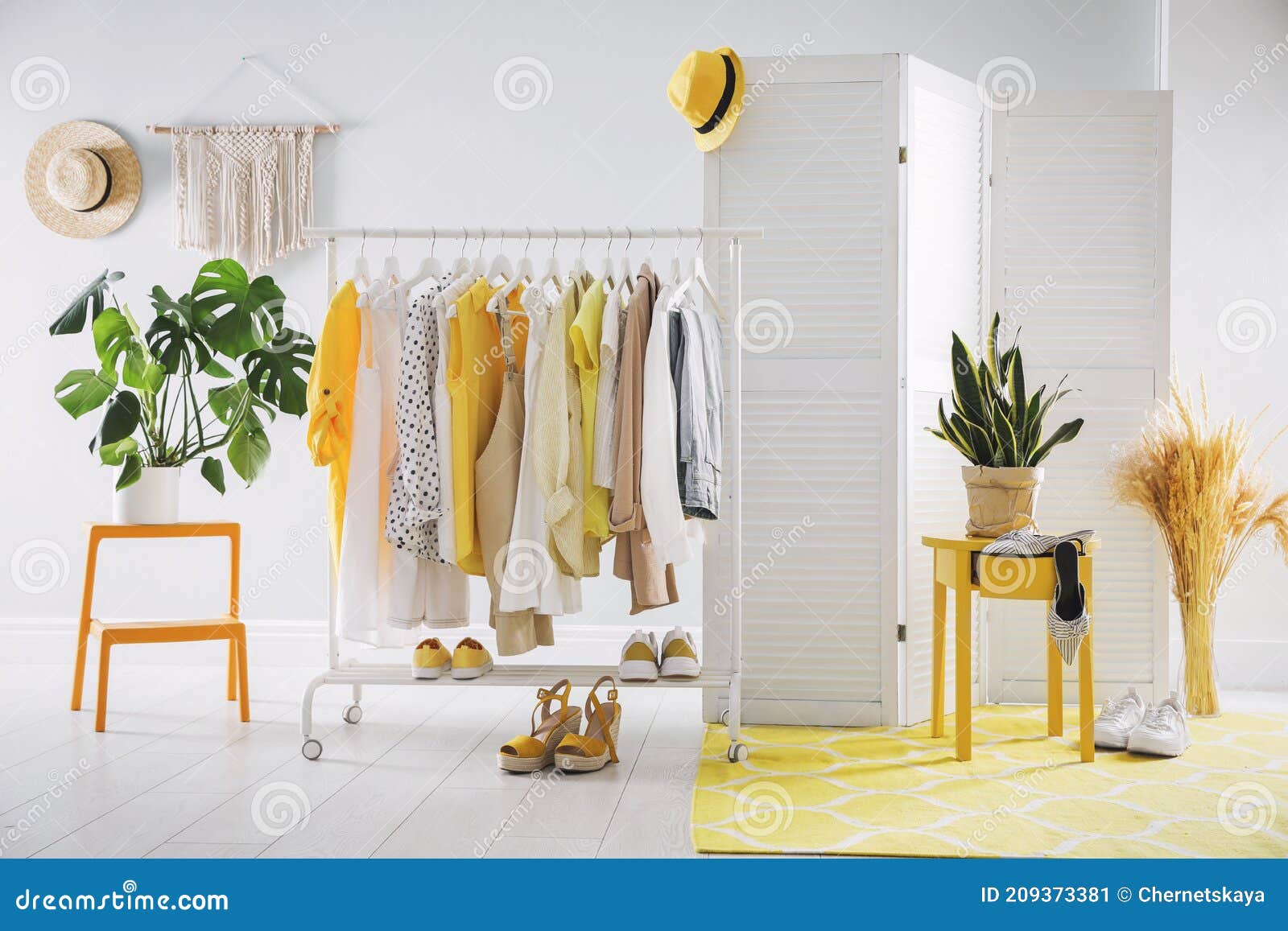 Dressing Room Interior with Clothing Rack and Houseplants Stock Image ...