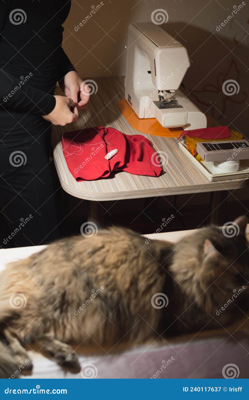 Dressmaker`s Hands Sewing Fabric and Cat Stock Image - Image of sewing ...