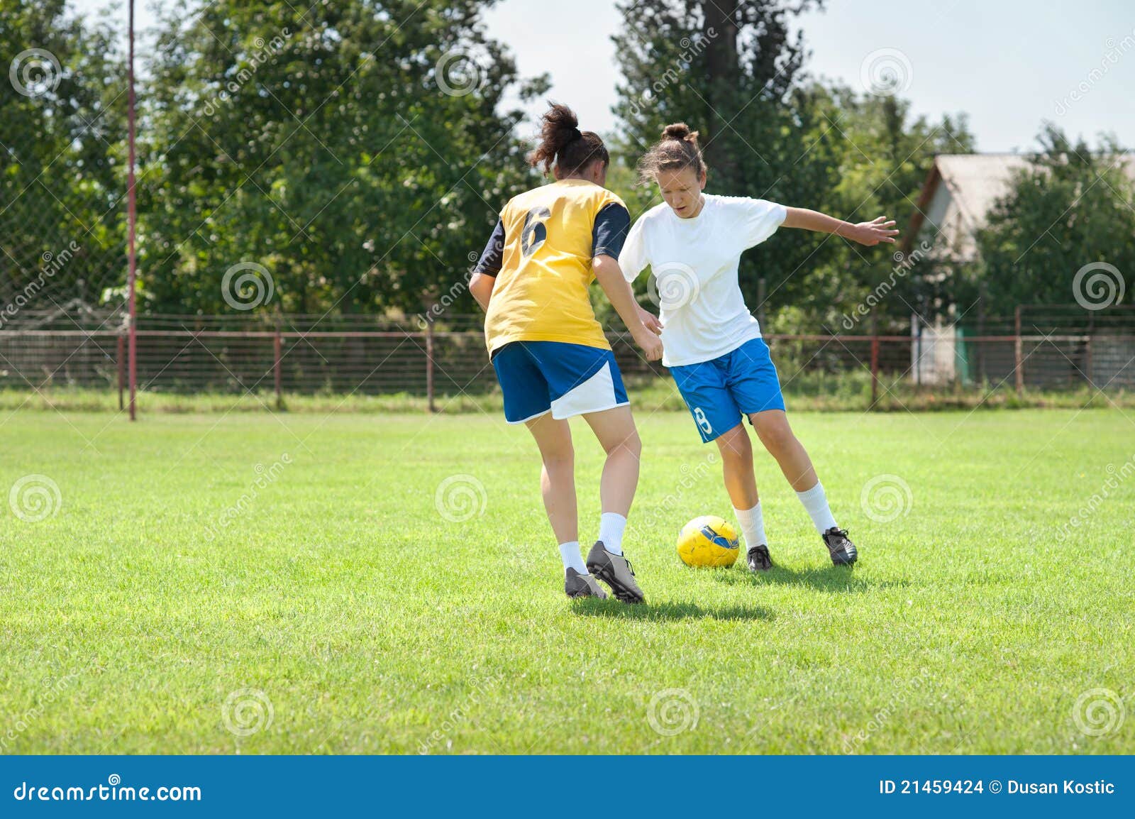 Dribble stock foto. Image of vrouwen, groen, dribbelen - 21459424