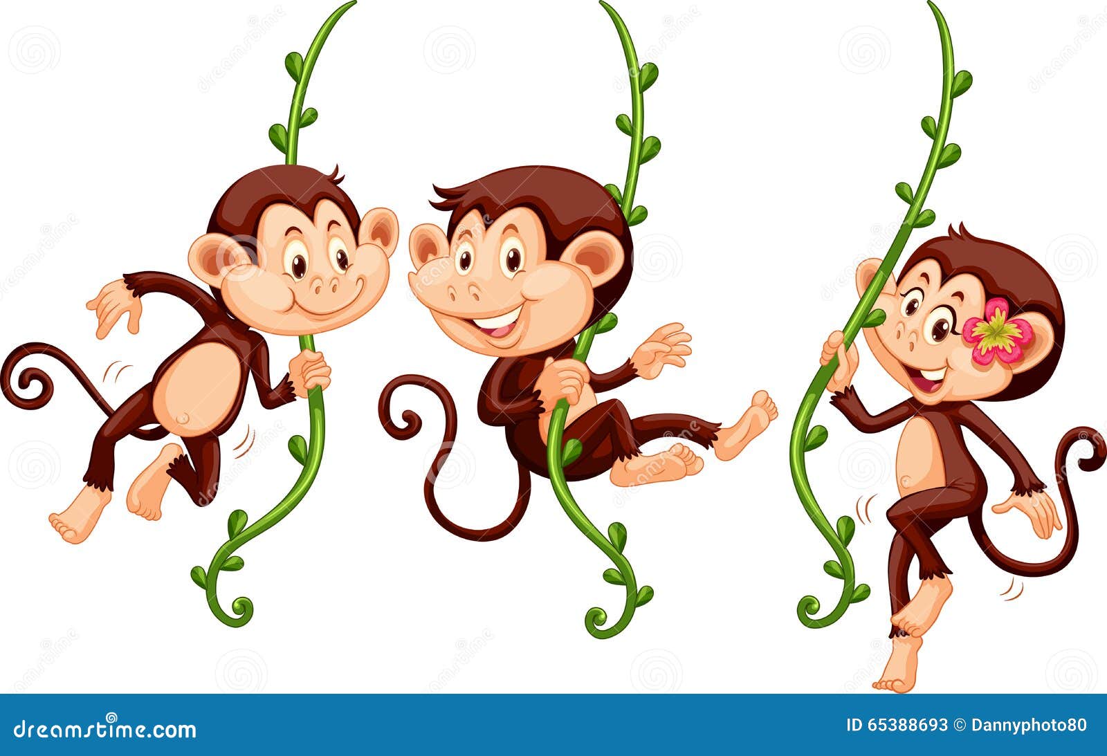 Drie Apen Die Op De Wijnstok Slingeren Vector Illustratie ...