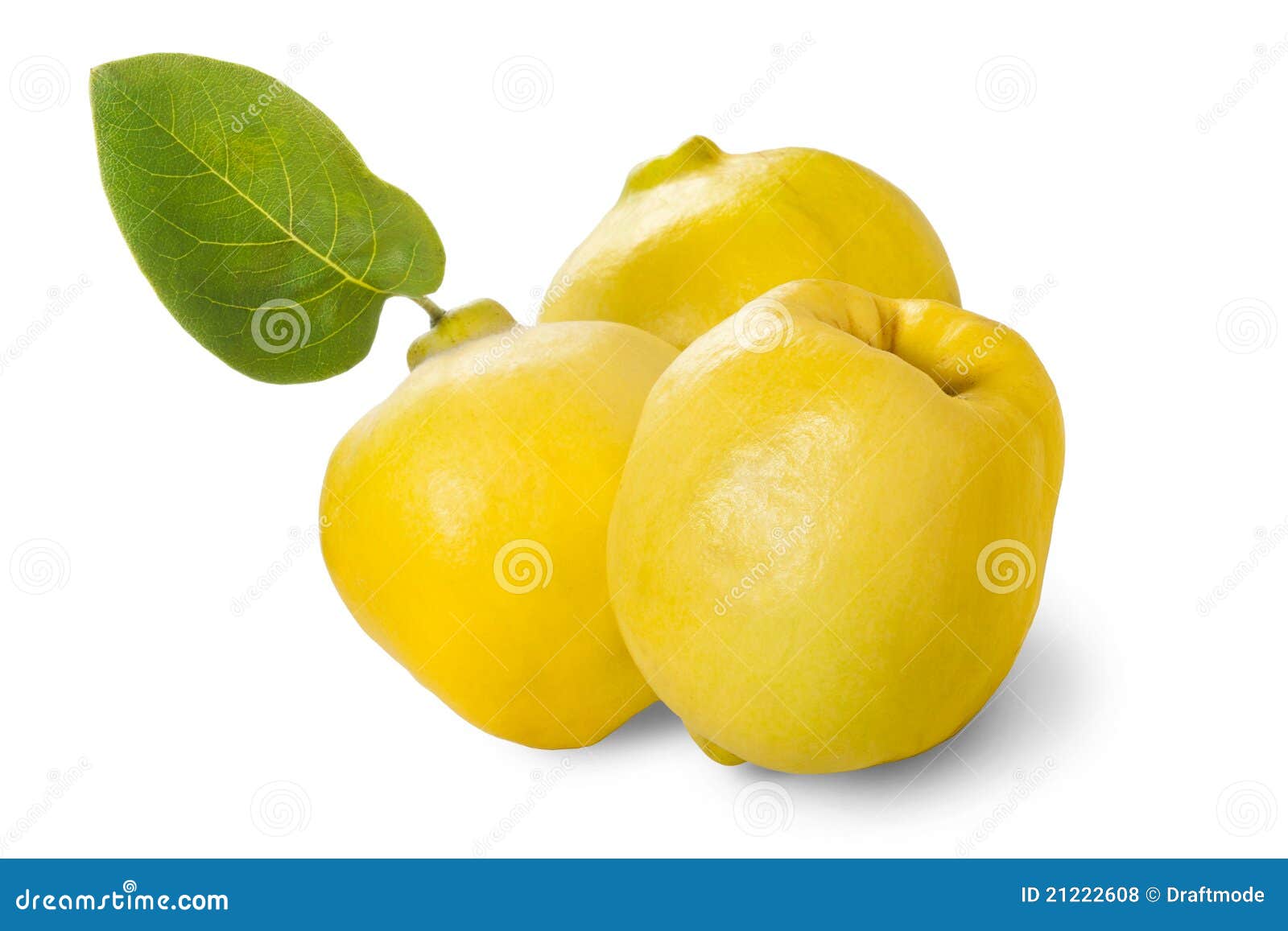 Drie kweeperen stock foto. Image of organisch, kweepeer - 21222608