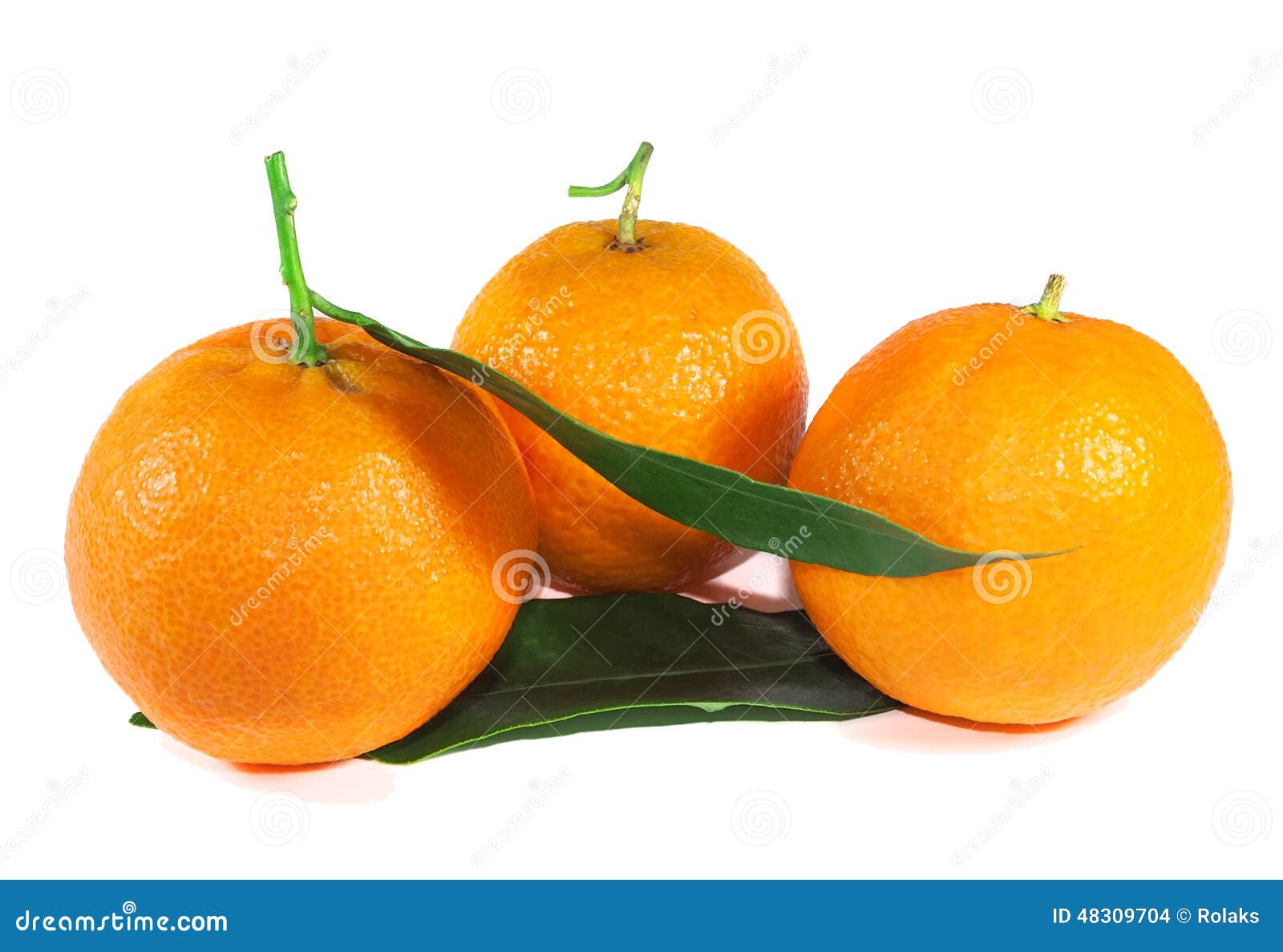 Drie Mandarijnen stock foto. Image of rijp, achtergrond - 48309704