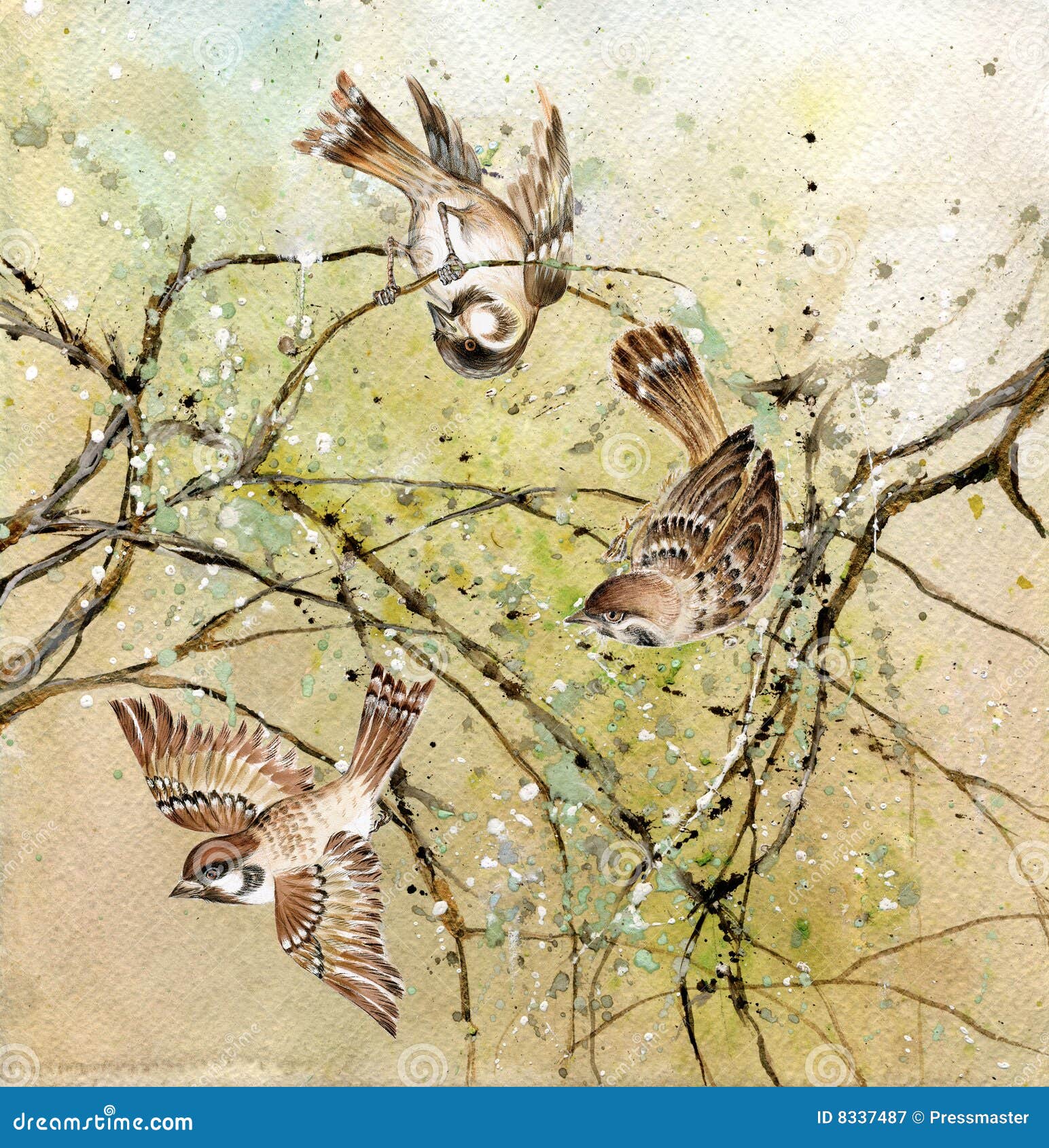 Drie mussen stock illustratie. Illustration of getrokken - 8337487