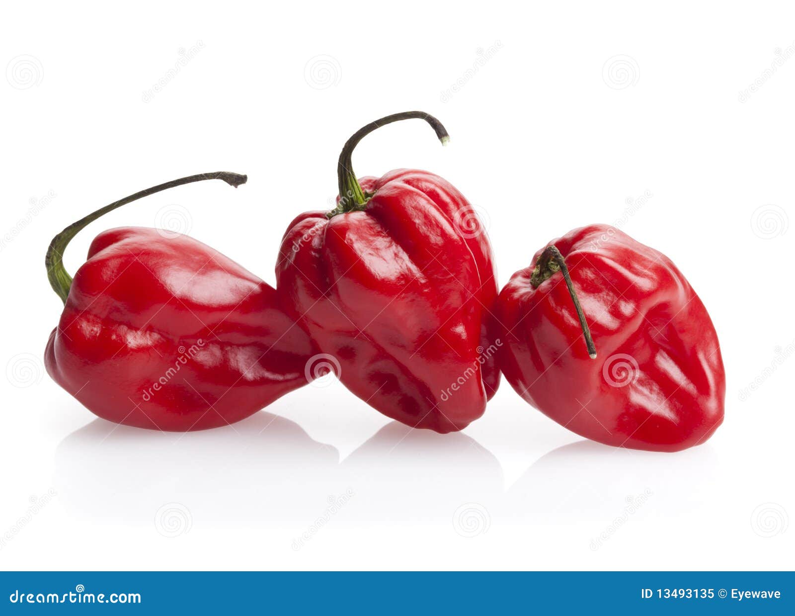Drie Rode Peper Van De HabaneroSpaanse Peper Stock Afbeelding - Image ...
