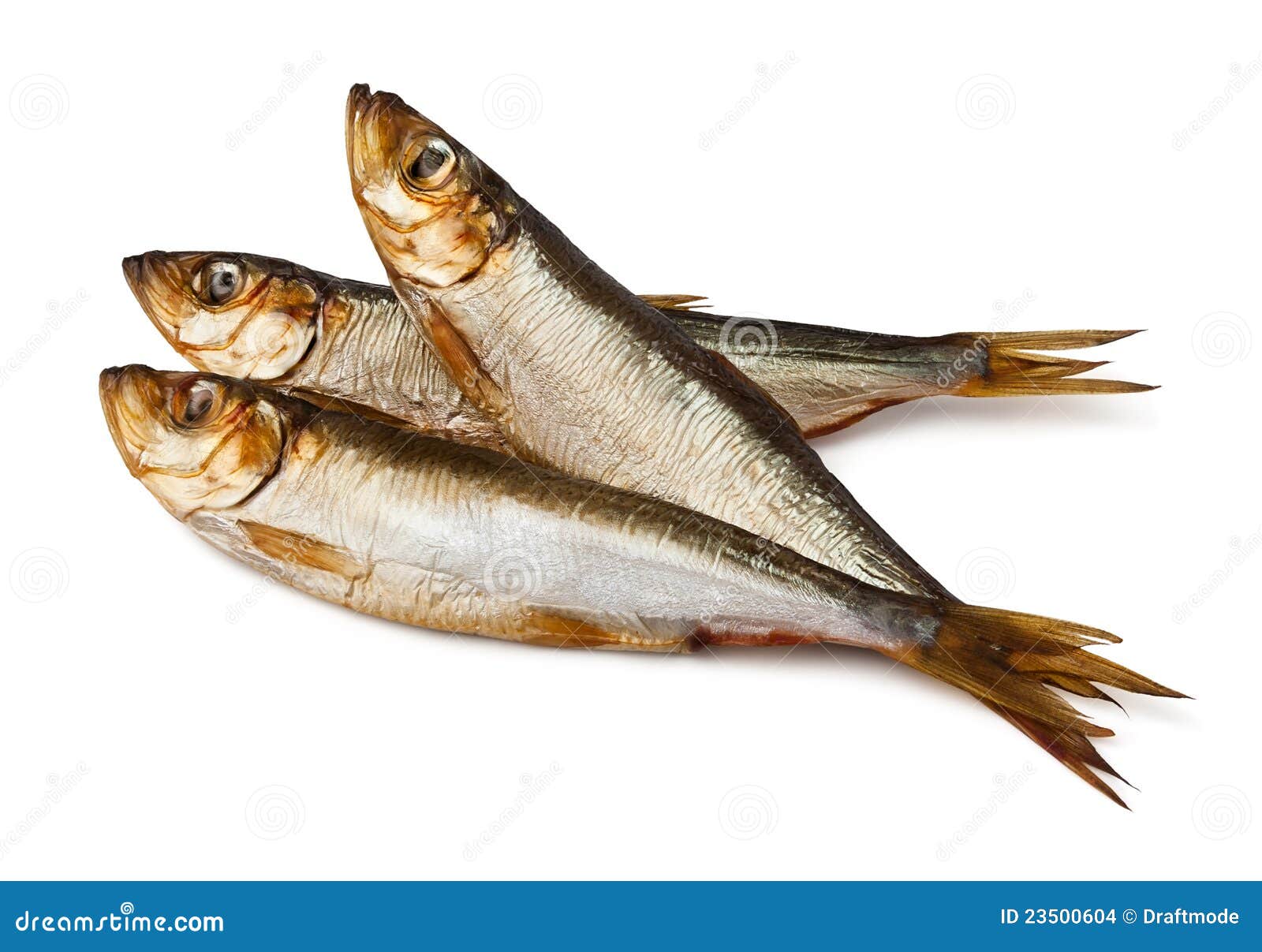 Drie sprotten stock foto. Image of vissen, schaduw, sprot - 23500604