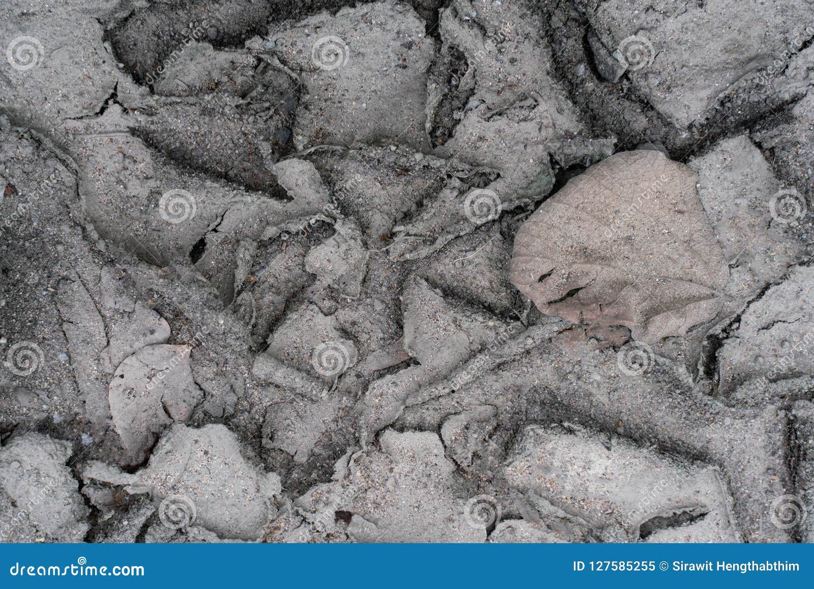 Dried Algae on the Floor, Lichen on Wall Stock Image - Image of light ...