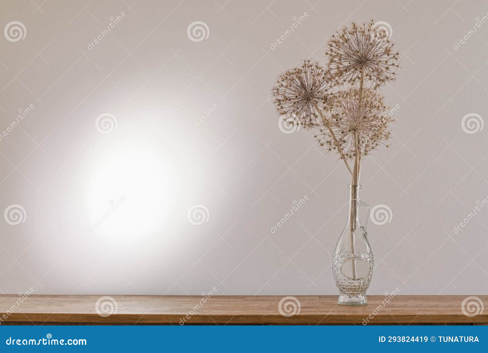 Dried Allium Plants in the Vase, Light and Shadows on the Wall. Beige ...