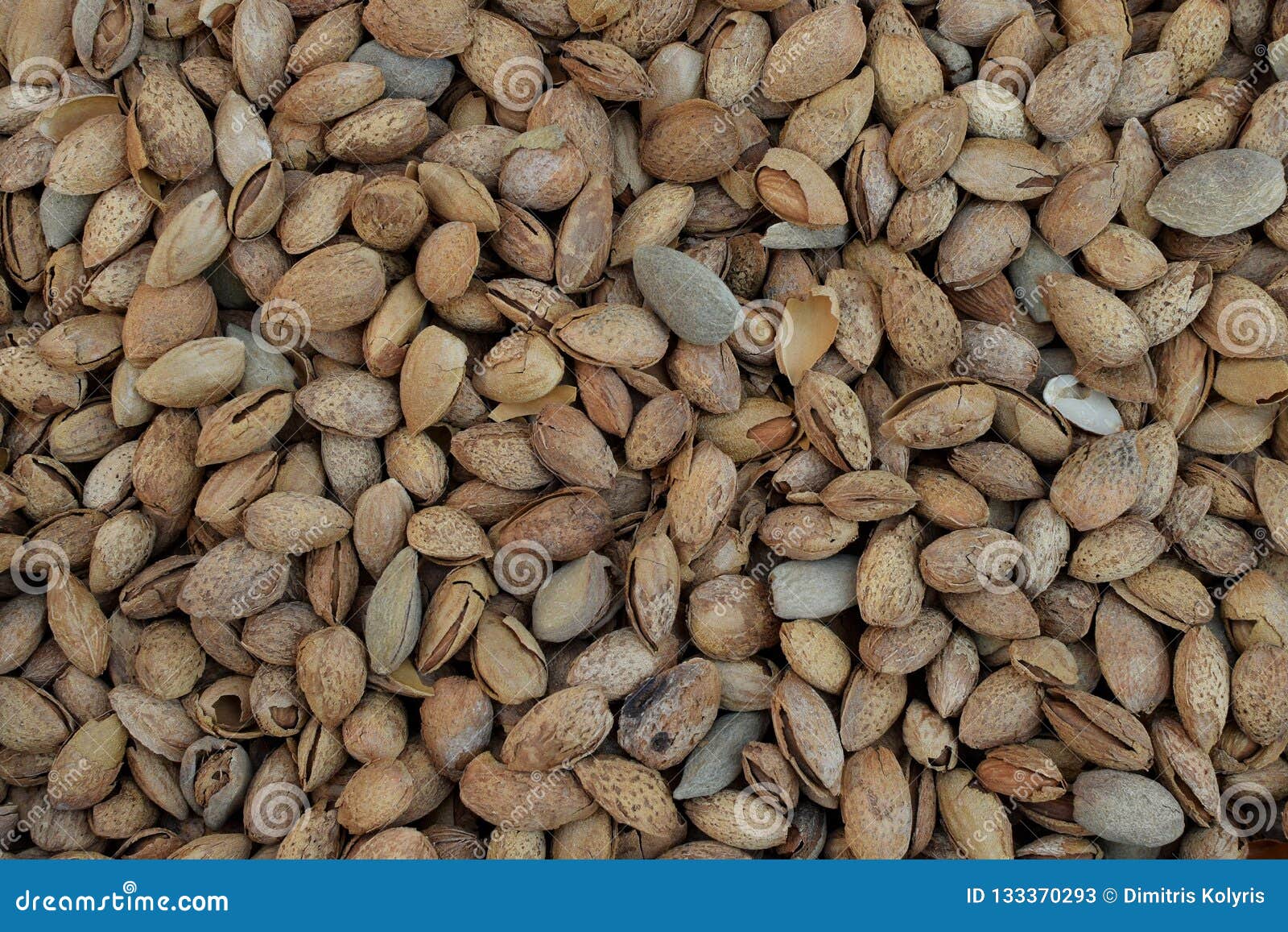 Dried almonds in shell stock image. Image of nuts, agriculture - 133370293