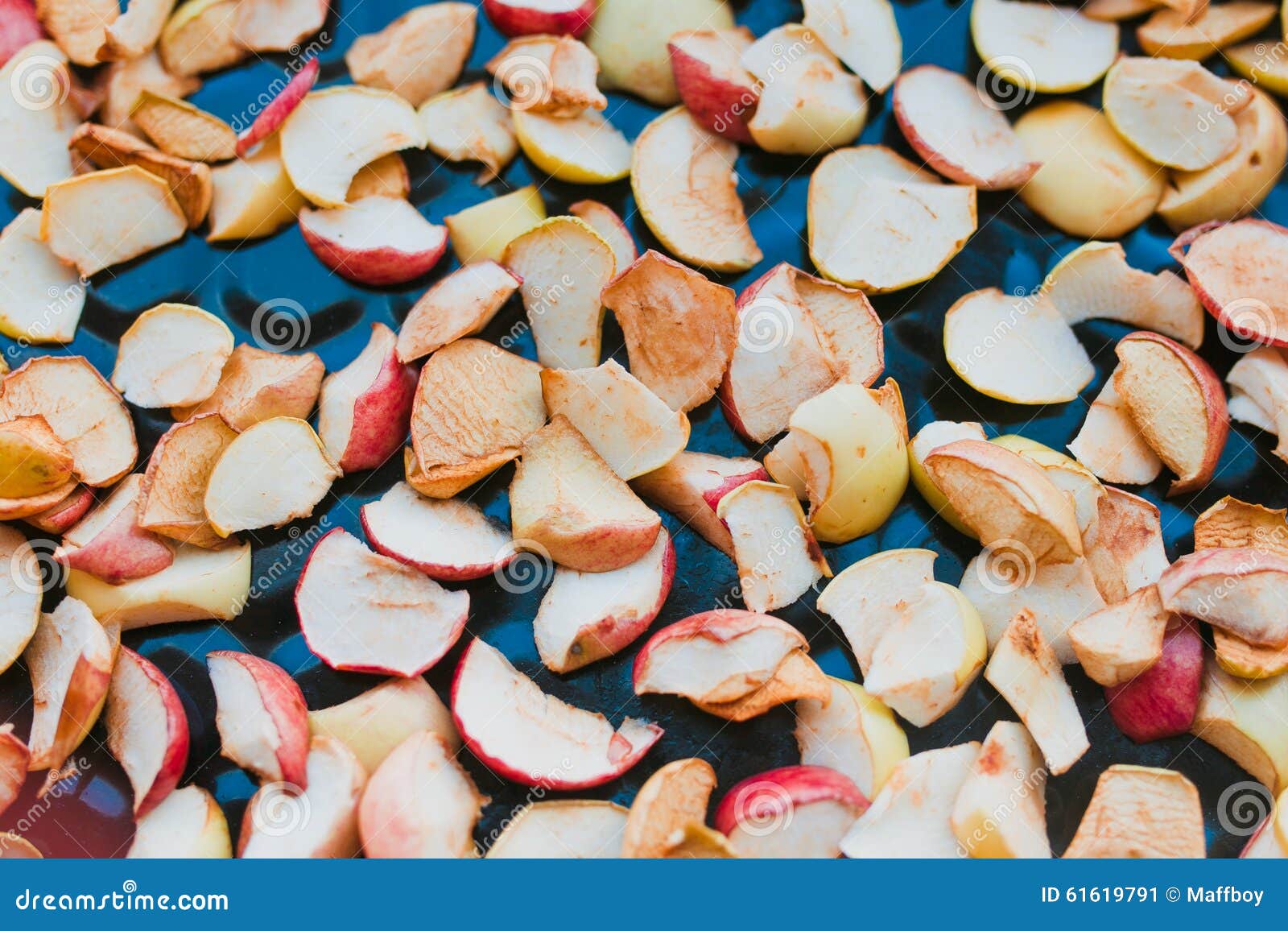Dried Apples. Drying. Fruit Dryer Stock Photography | CartoonDealer.com ...