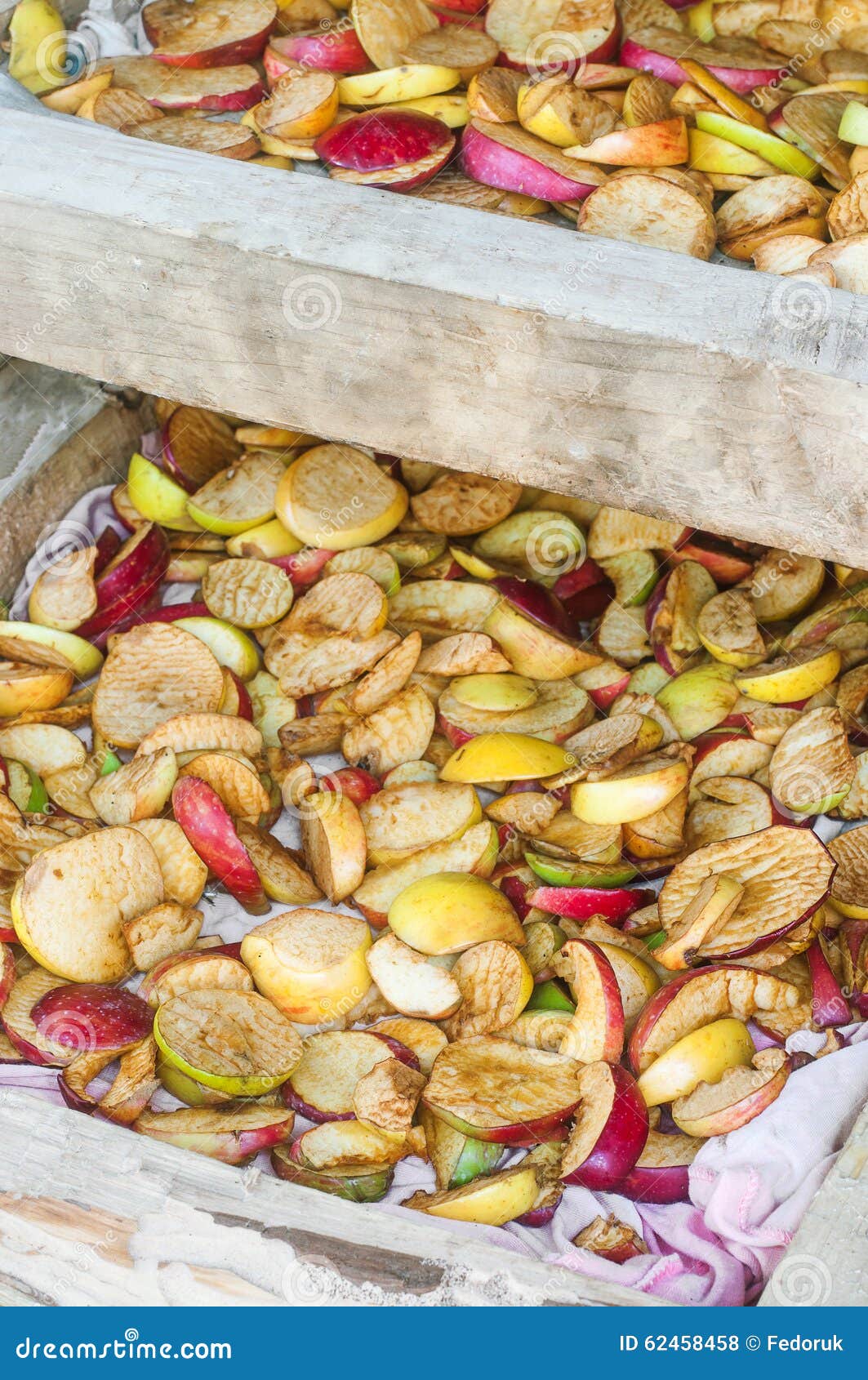 Dried apples stock photo. Image of ripe, slice, natural - 62458458