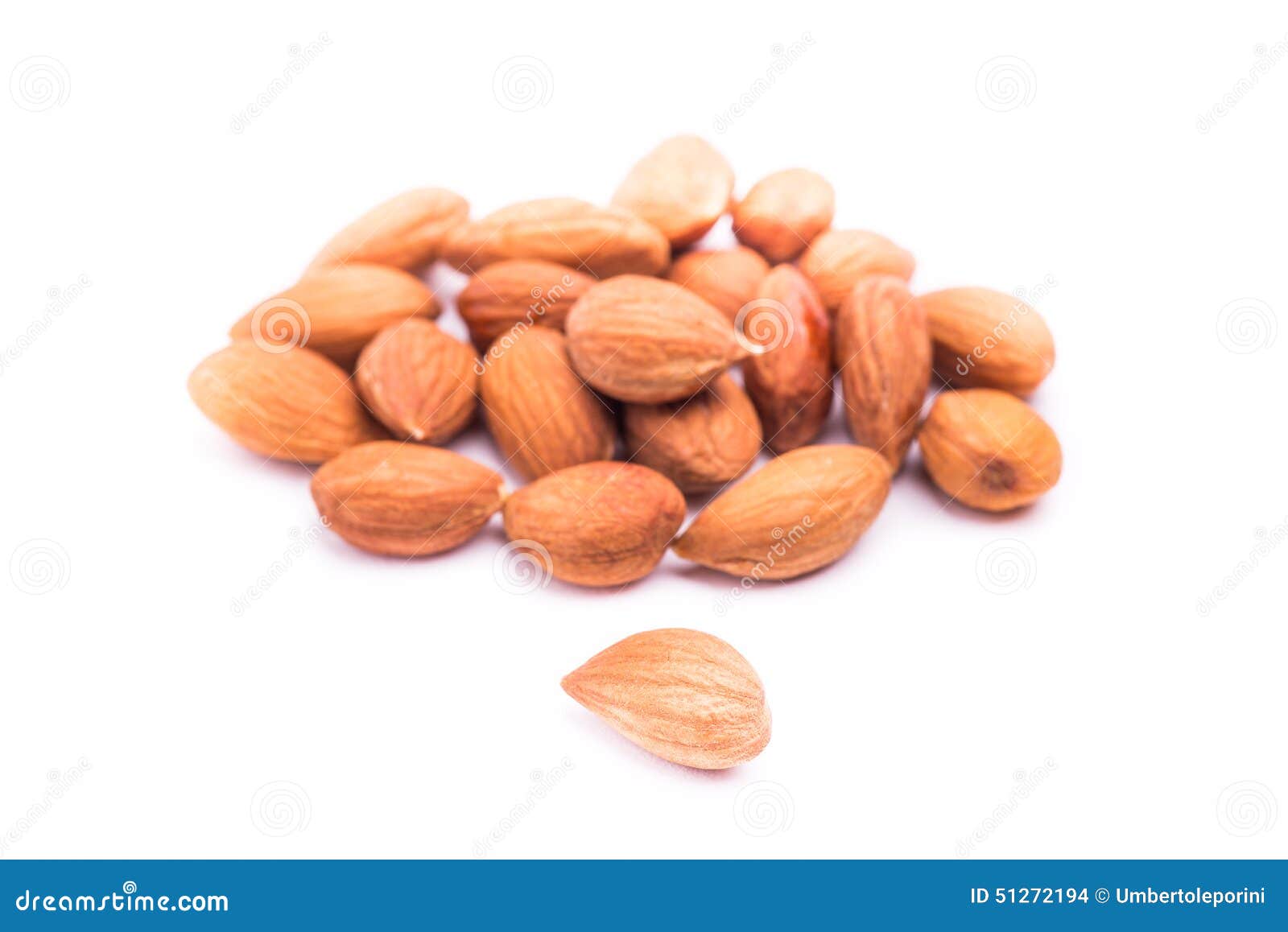 Dried apricot kernel fruit stock photo. Image of dried - 51272194
